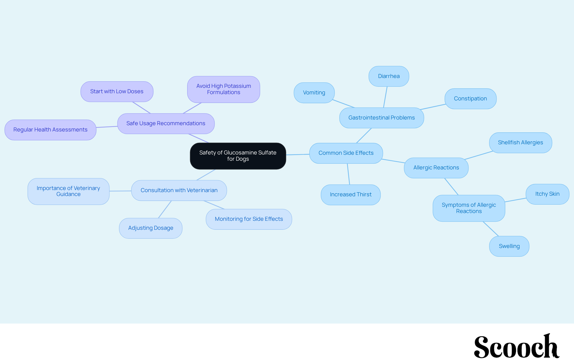 The center shows the main safety concern, with branches detailing specific side effects and important recommendations for dog owners. Each color represents a different aspect of glucosamine sulfate's use.