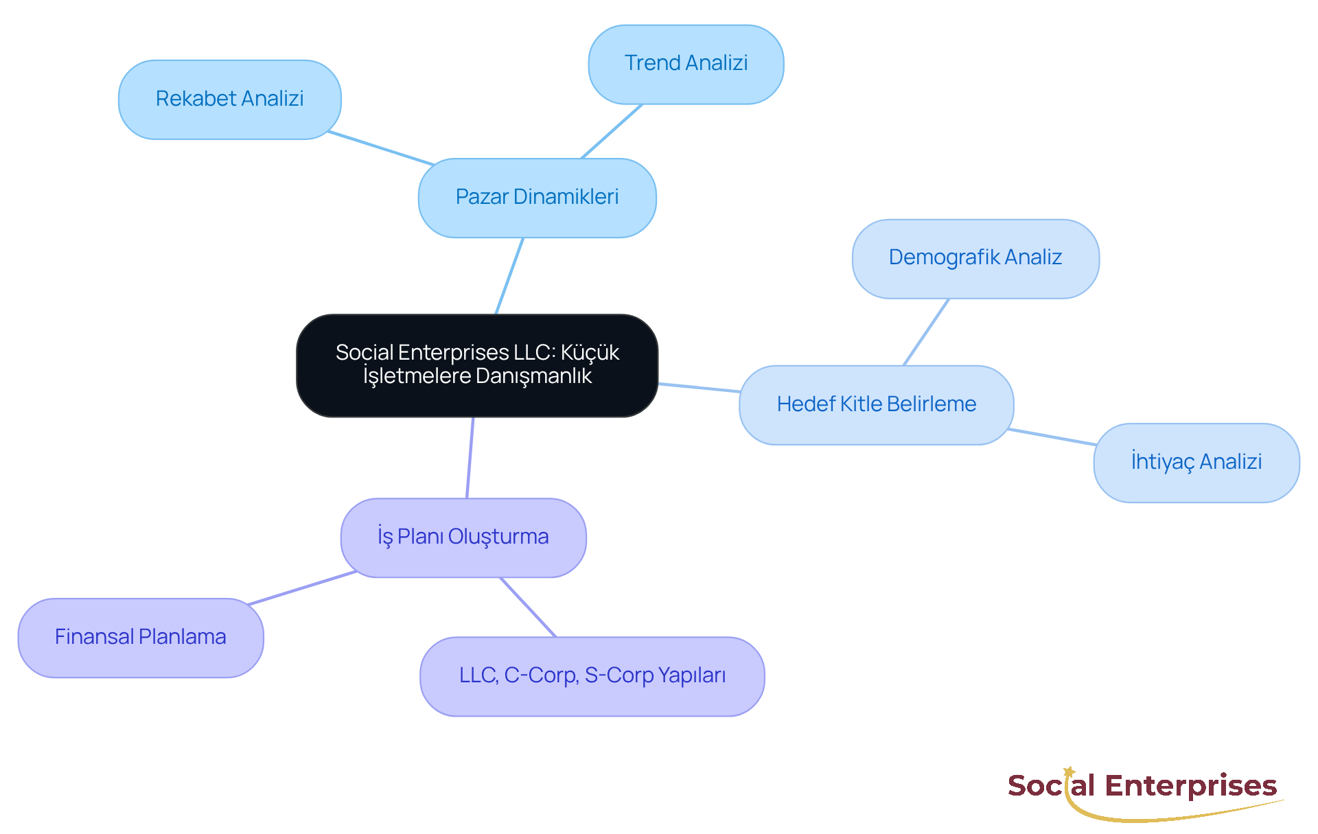 Merkezdeki başlık, danışmanlık hizmetlerinin genel çerçevesini gösteriyor. Dallar, her bir hizmetin detaylarını ve önemini belirtiyor. Renkler, farklı alanları ayırt etmeye yardımcı oluyor.