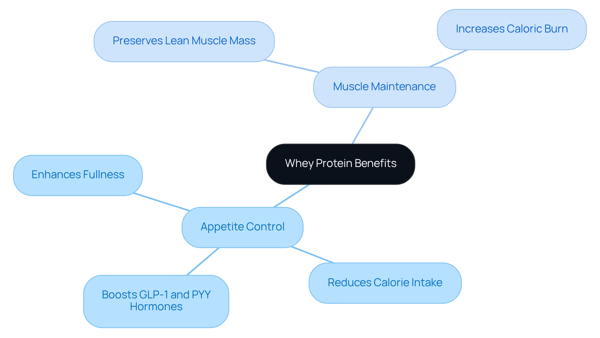 The central node represents whey protein, with branches showing its key benefits. Each sub-branch provides specific details about how whey protein helps with appetite control and muscle maintenance.