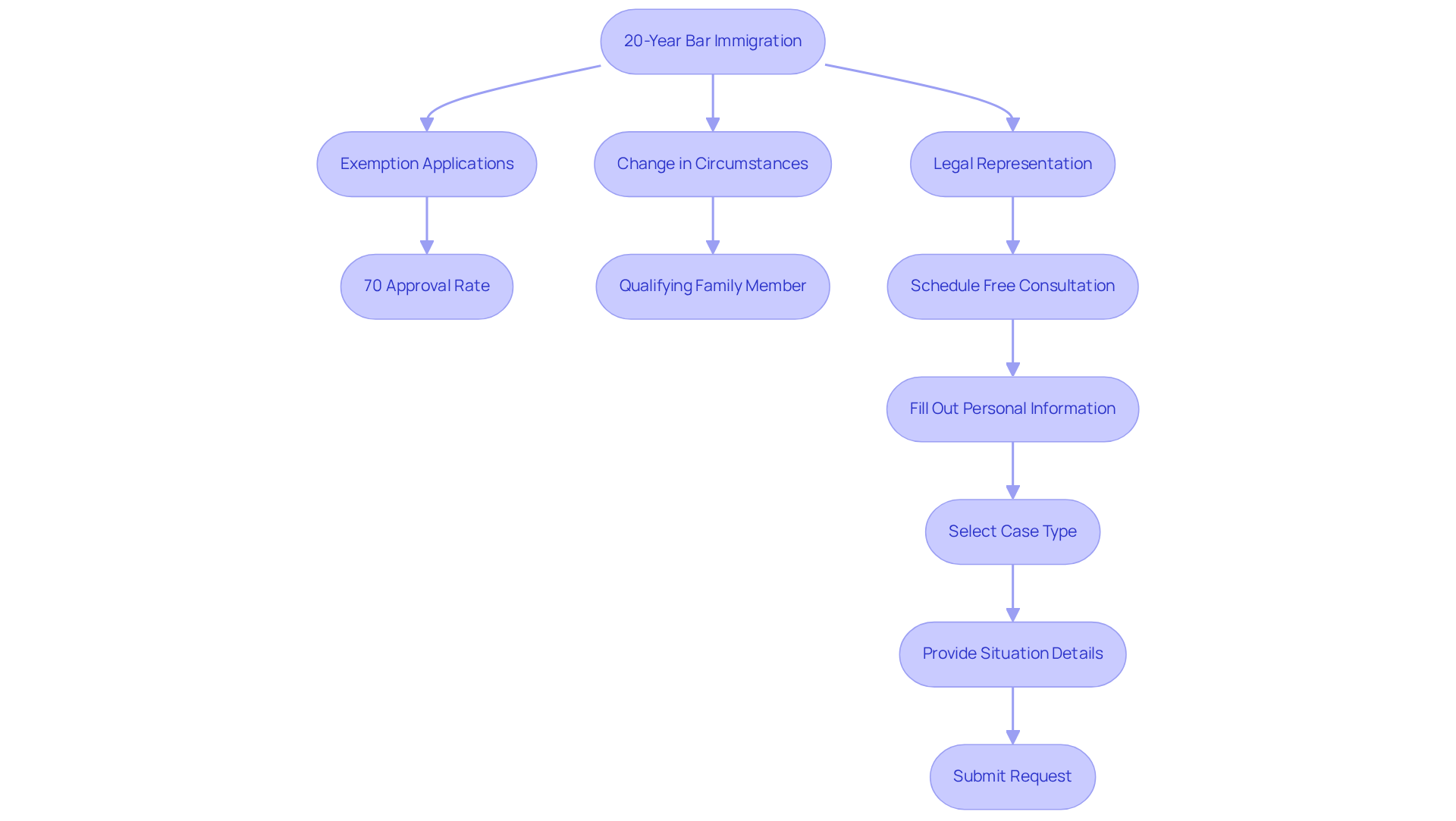 This flowchart shows the steps and options available for those affected by the 20-year bar immigration. Start at the top with the main issue, then follow the arrows to see your options for exemptions or legal help. Each branch provides a pathway to potentially overcoming the bar.