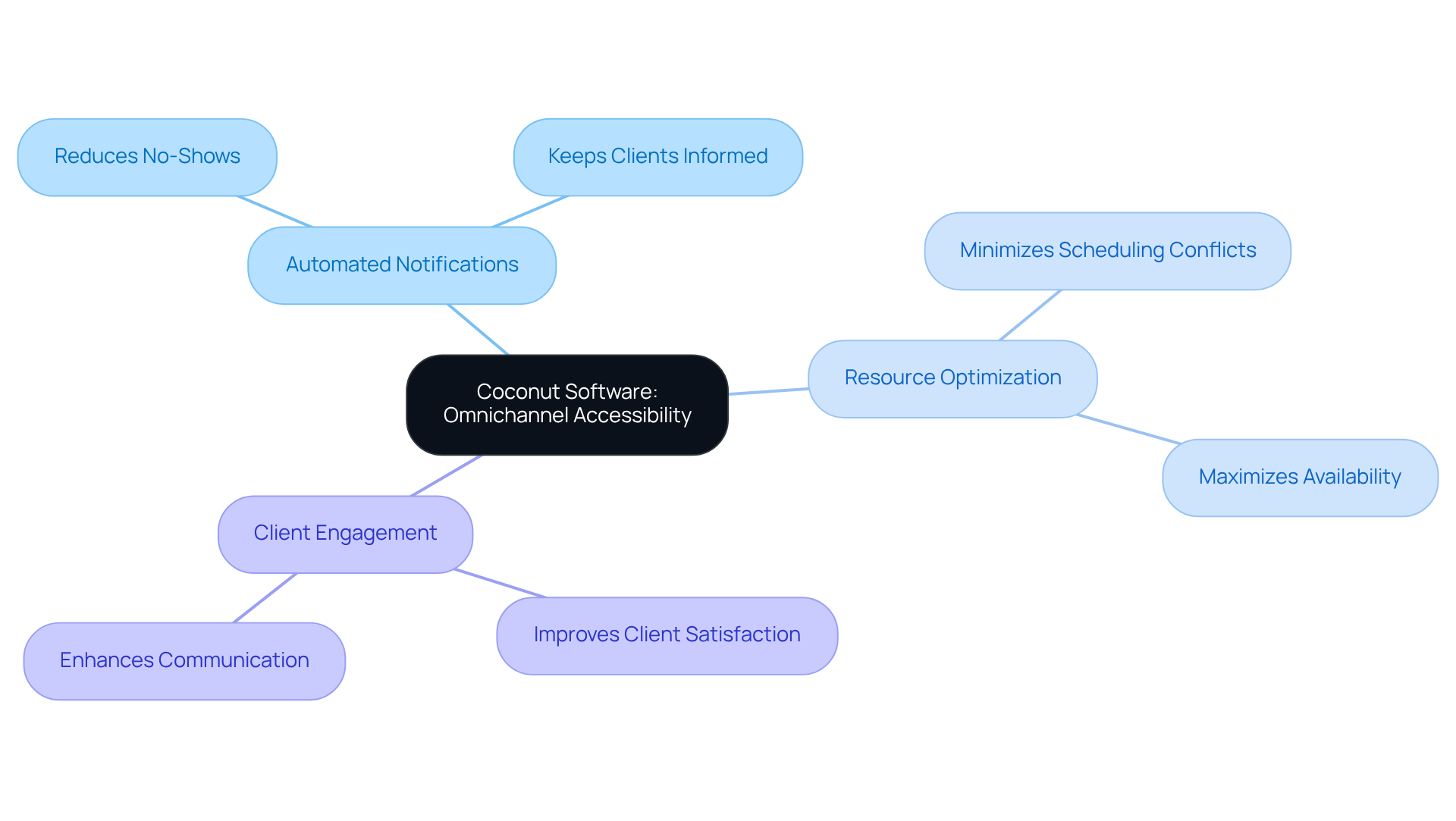 The center represents Coconut Software's core focus on accessibility. Each branch shows a key feature, and the sub-branches highlight specific benefits, illustrating how the software enhances operational efficiency and client interaction.