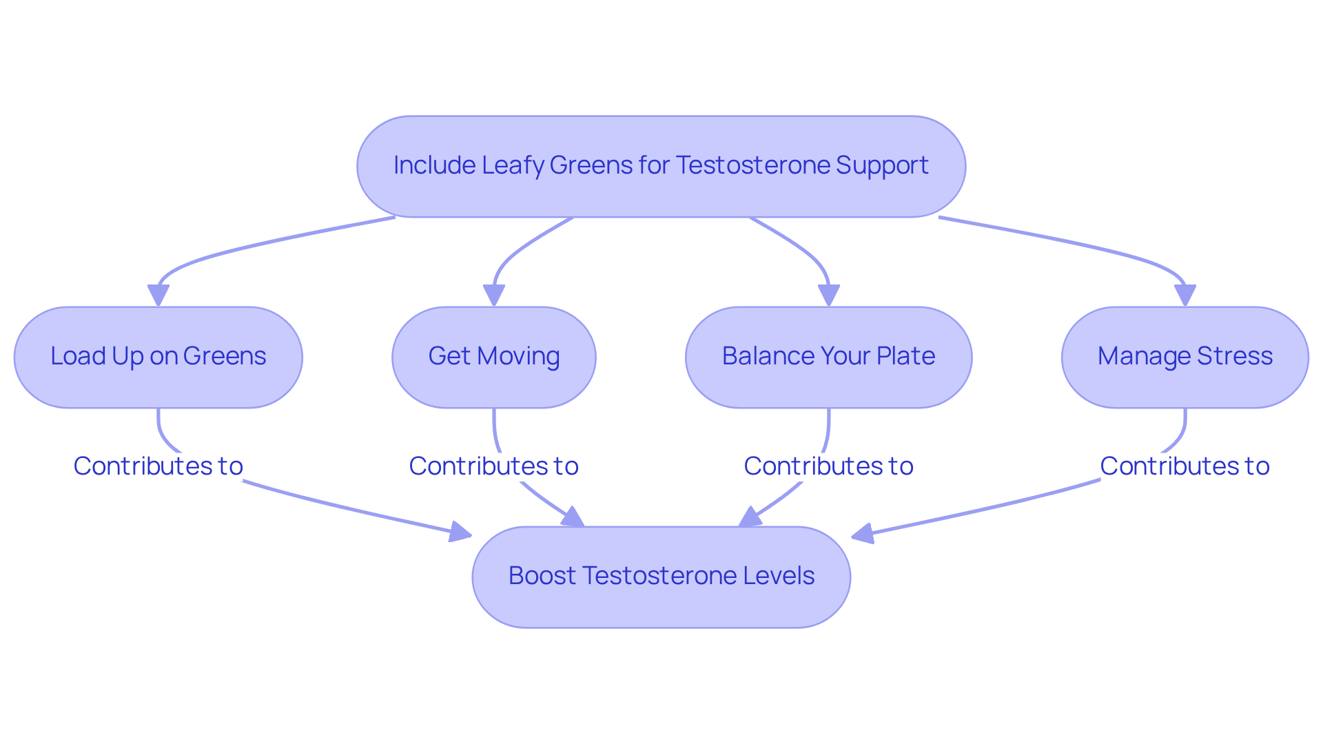 Follow the arrows to see how each step contributes to boosting your testosterone levels. Each box represents an action you can take to improve your health and vitality.