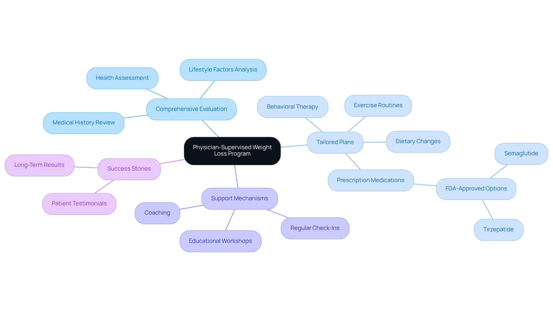 The central node represents the main program, while the branches show the different aspects that contribute to its success. Each branch highlights a key area of focus, helping you understand how the program is structured and what support is available.