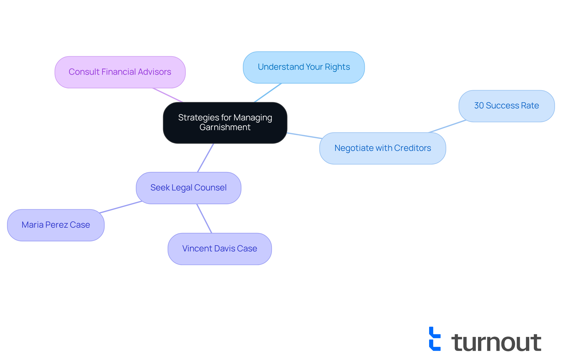 The central node represents the overall strategies, with branches showing specific approaches and real-life examples of how individuals successfully navigated garnishment issues.