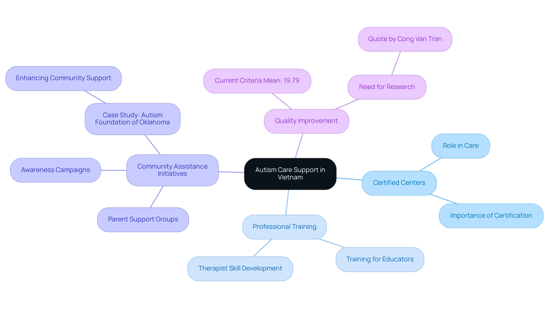 The central node represents autism care support, with branches indicating certified centers, training, community initiatives, and quality improvement aspects.