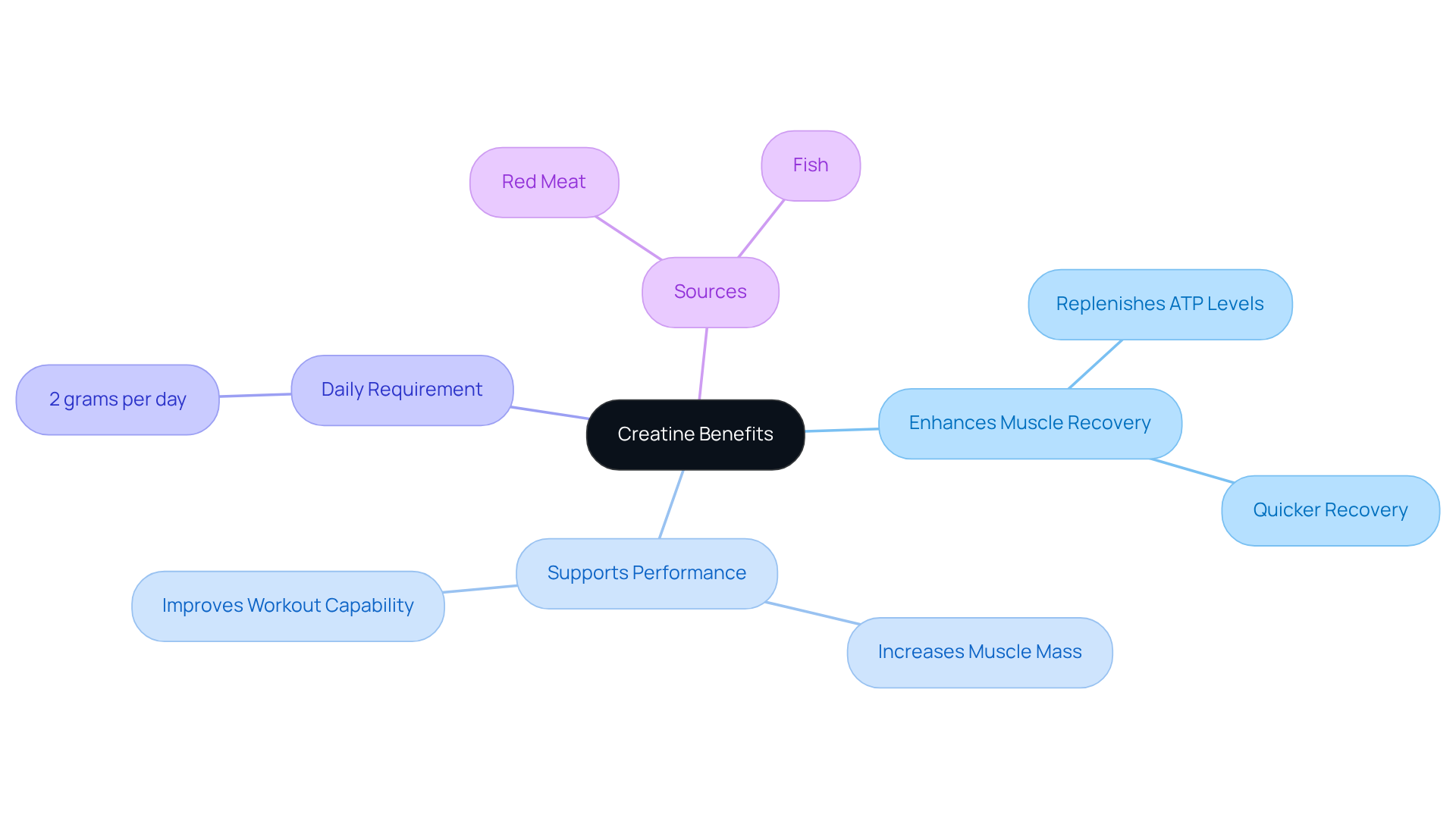 This mindmap shows how creatine contributes to muscle recovery and performance. Start at the center with the main topic, then explore the branches to see its benefits, daily needs, and where to find it in your diet.
