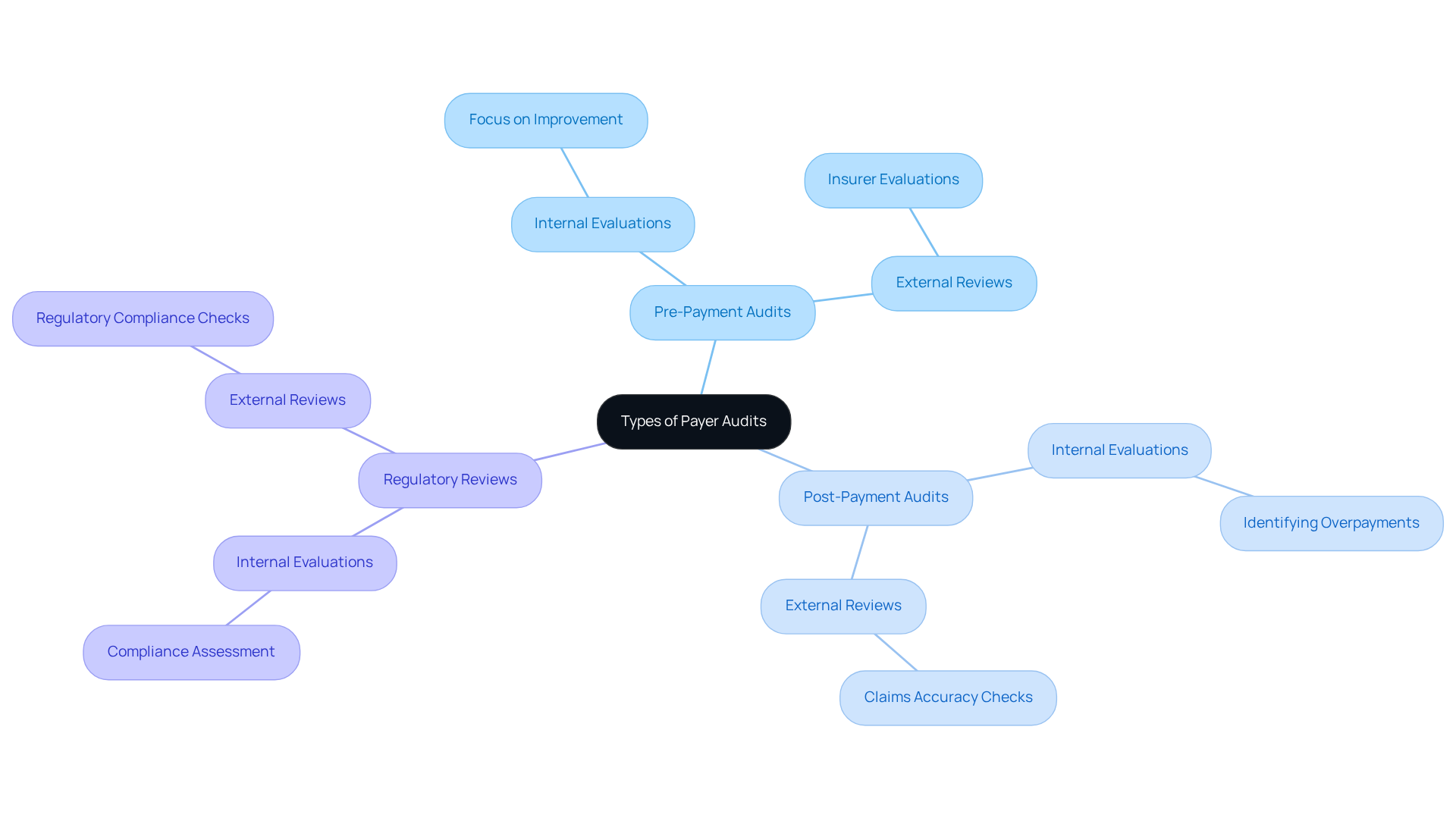 Start at the center with the main topic of payer audits, then follow the branches to explore different types and their specific focuses. Each color represents a different category, helping you see how they relate to one another.