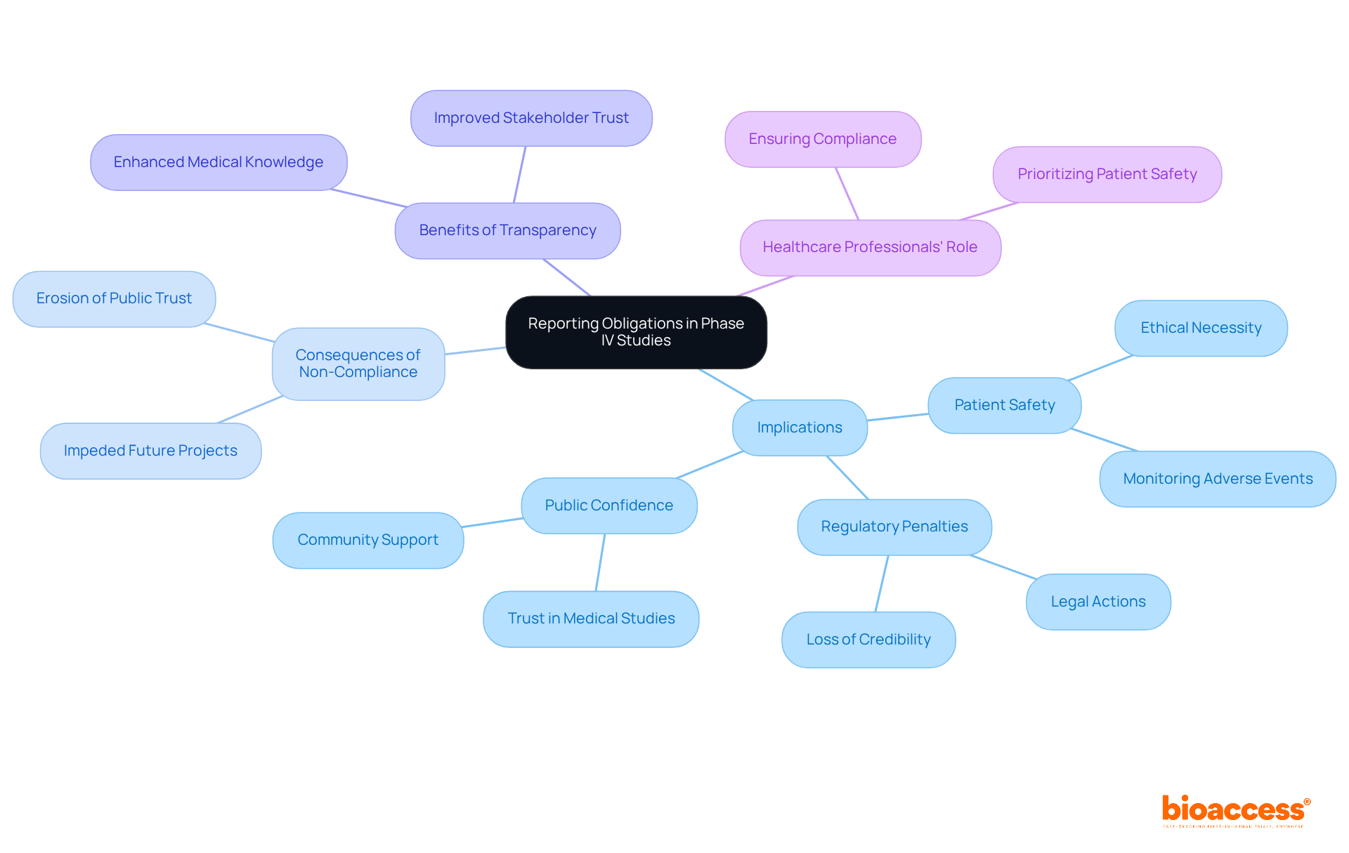 The central node represents the main topic, while branches show the various implications and consequences. Each color-coded branch helps you see how different factors are interconnected, emphasizing the importance of compliance and transparency.