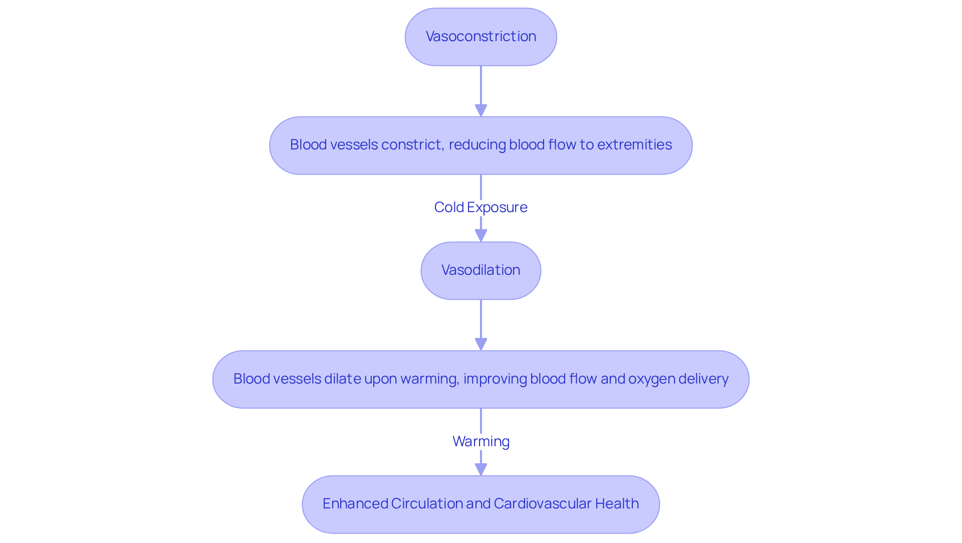 This flowchart illustrates the sequence of how cold plunges enhance circulation: first, blood vessels constrict (vasoconstriction), then they dilate (vasodilation) when warming occurs, leading to improved blood flow and cardiovascular health.