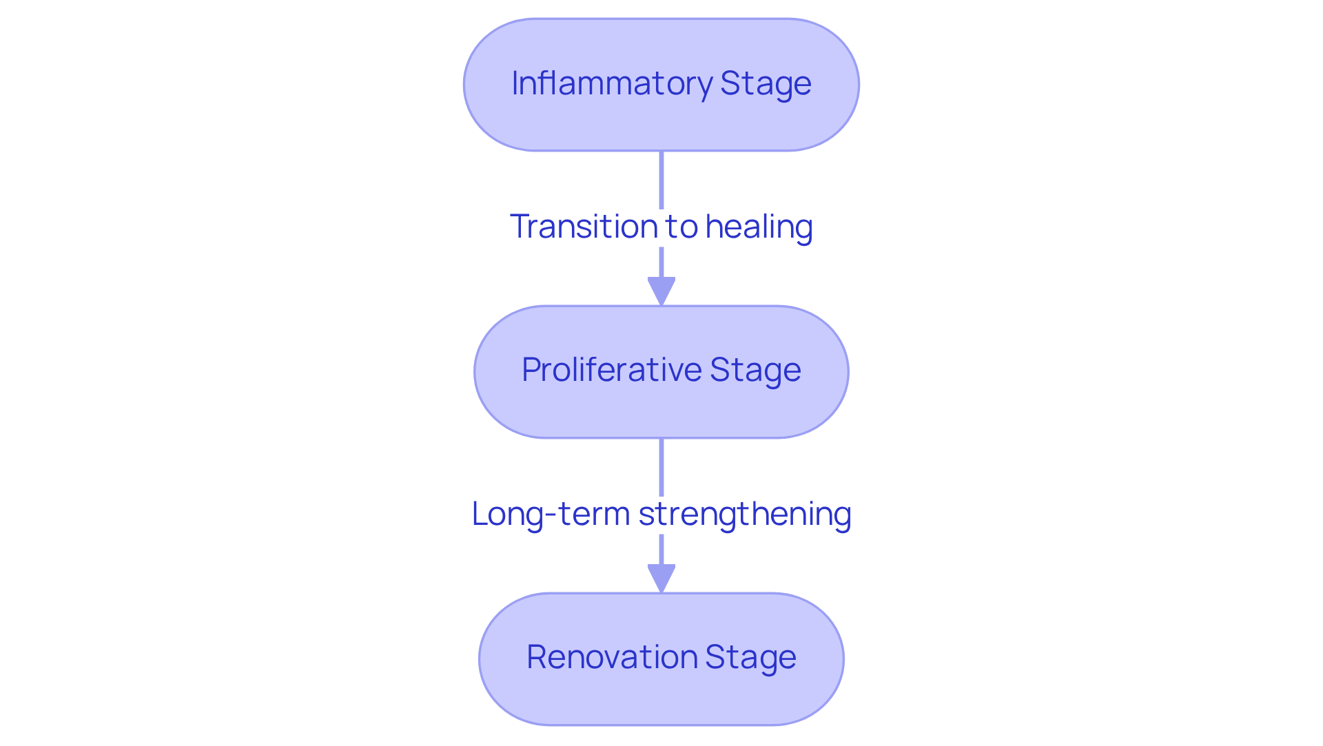This flowchart illustrates the journey of tendon healing. Each box represents a phase: the first is the body's immediate response to injury, the second is where healing begins with new tissue formation, and the third is the long-term process of strengthening. Follow the arrows to see how each phase connects to the next.