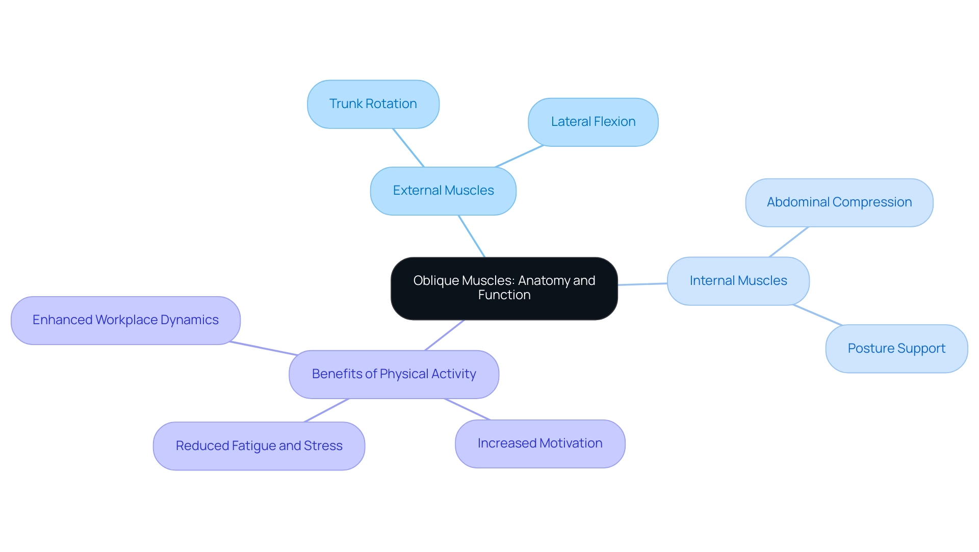 The central node represents the topic, with branches showing muscle groups and their functions, while additional branches indicate the benefits of physical activity in the workplace.