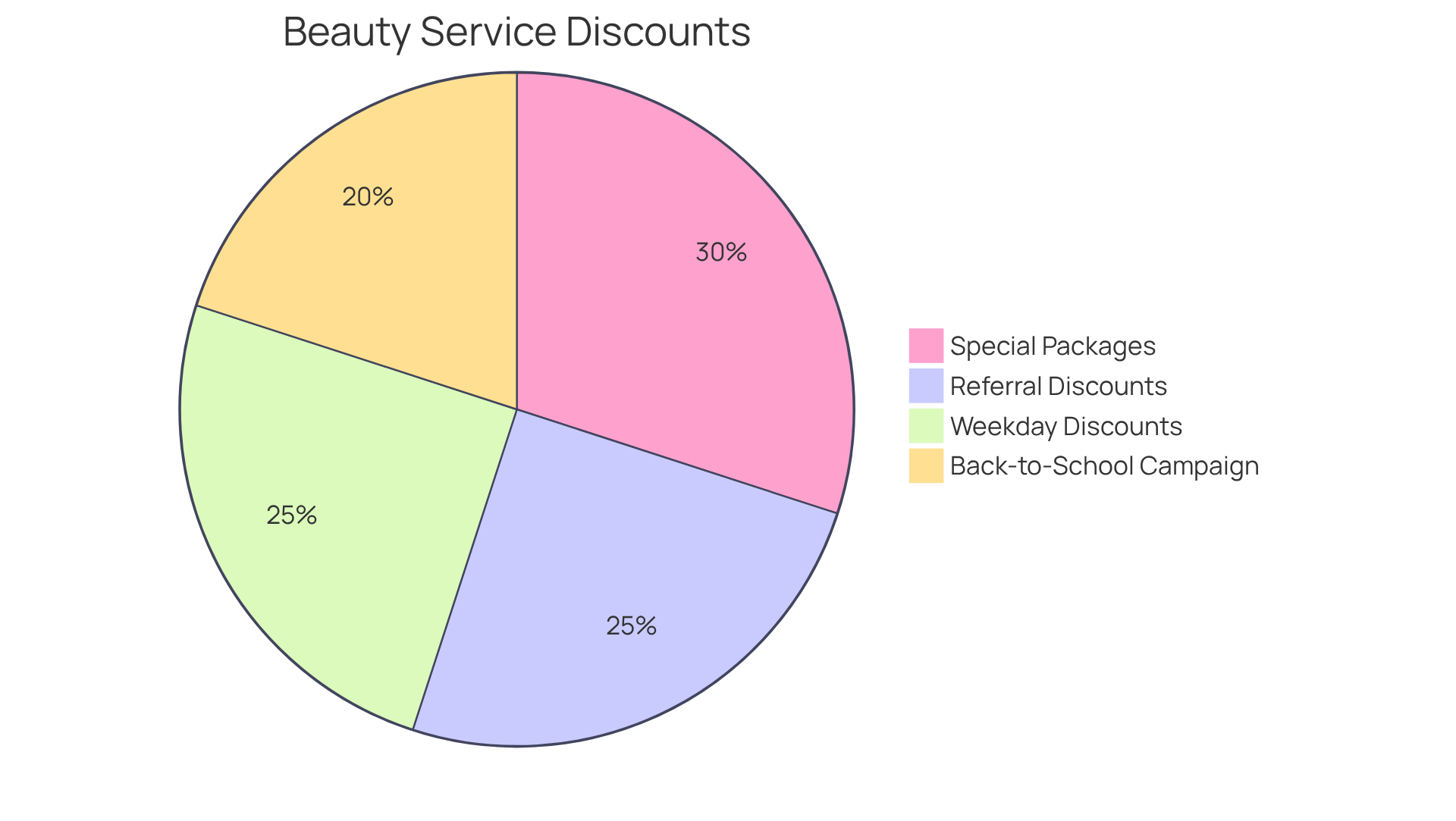 Each segment of the pie shows a different type of discount available. The larger the segment, the more common or significant that type of discount is for saving money on beauty services.