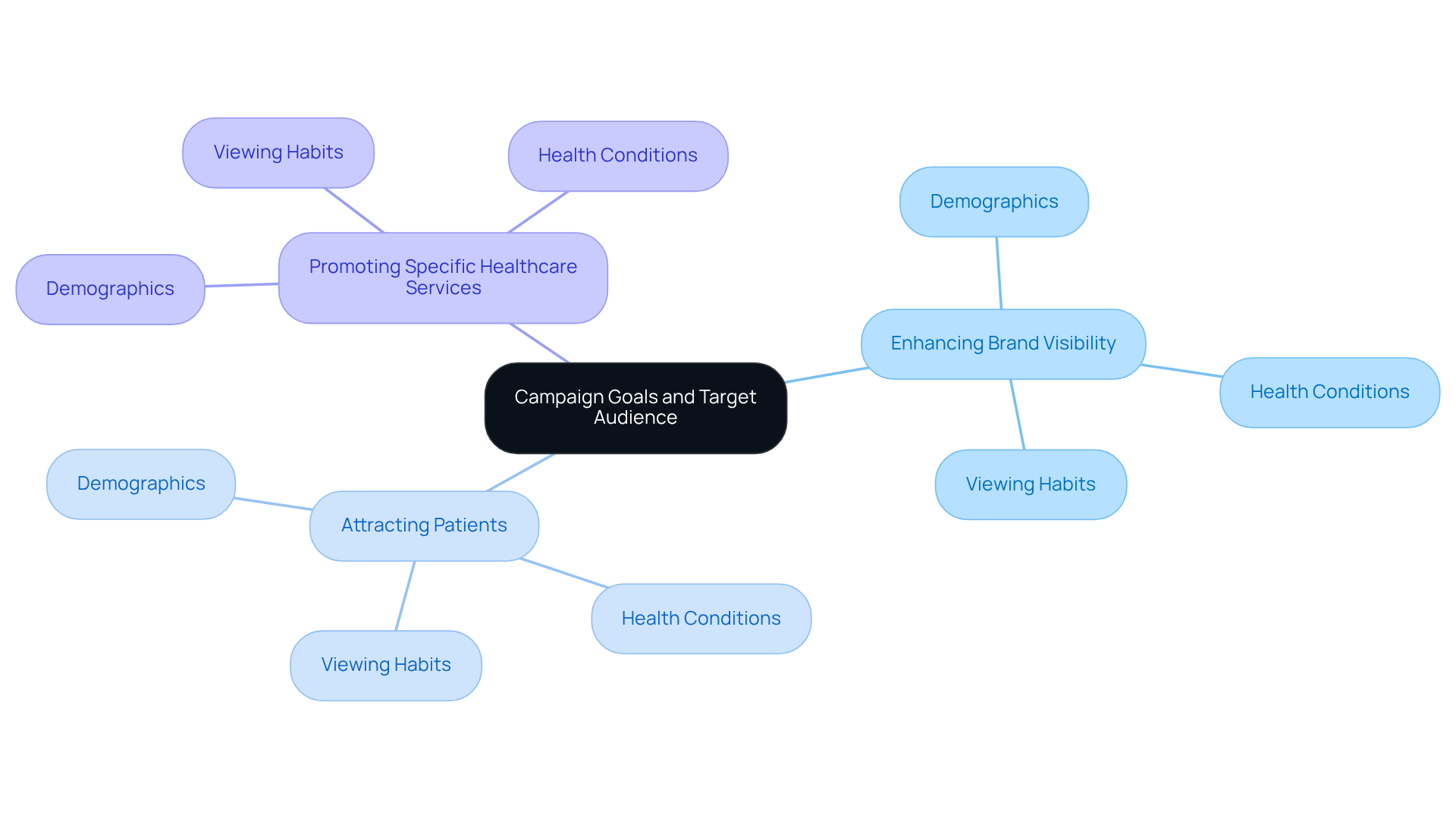 The center represents the overall campaign strategy, while the branches show specific goals and how to segment the audience for each goal. Follow the branches to understand how to effectively engage with different viewer profiles. The center represents the overall campaign strategy, while the branches show specific goals and how to segment the audience for each goal. Follow the branches to understand how to effectively engage with different viewer profiles.