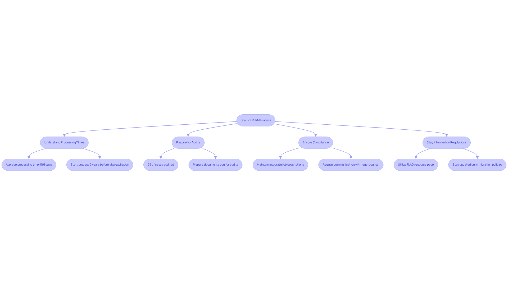 This flowchart outlines the key steps and considerations in the PERM process. Follow the arrows to see how each step connects and what actions you need to take to successfully navigate the challenges.