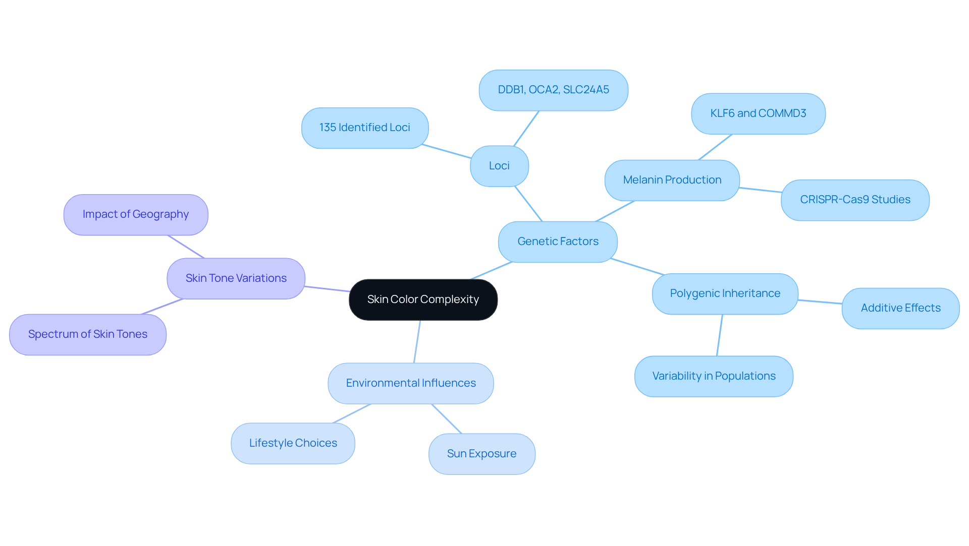 The center represents the overall complexity of skin color, with branches showing how genetics and environment contribute to the diversity of skin tones. Each branch and sub-branch helps visualize the interconnected factors at play.