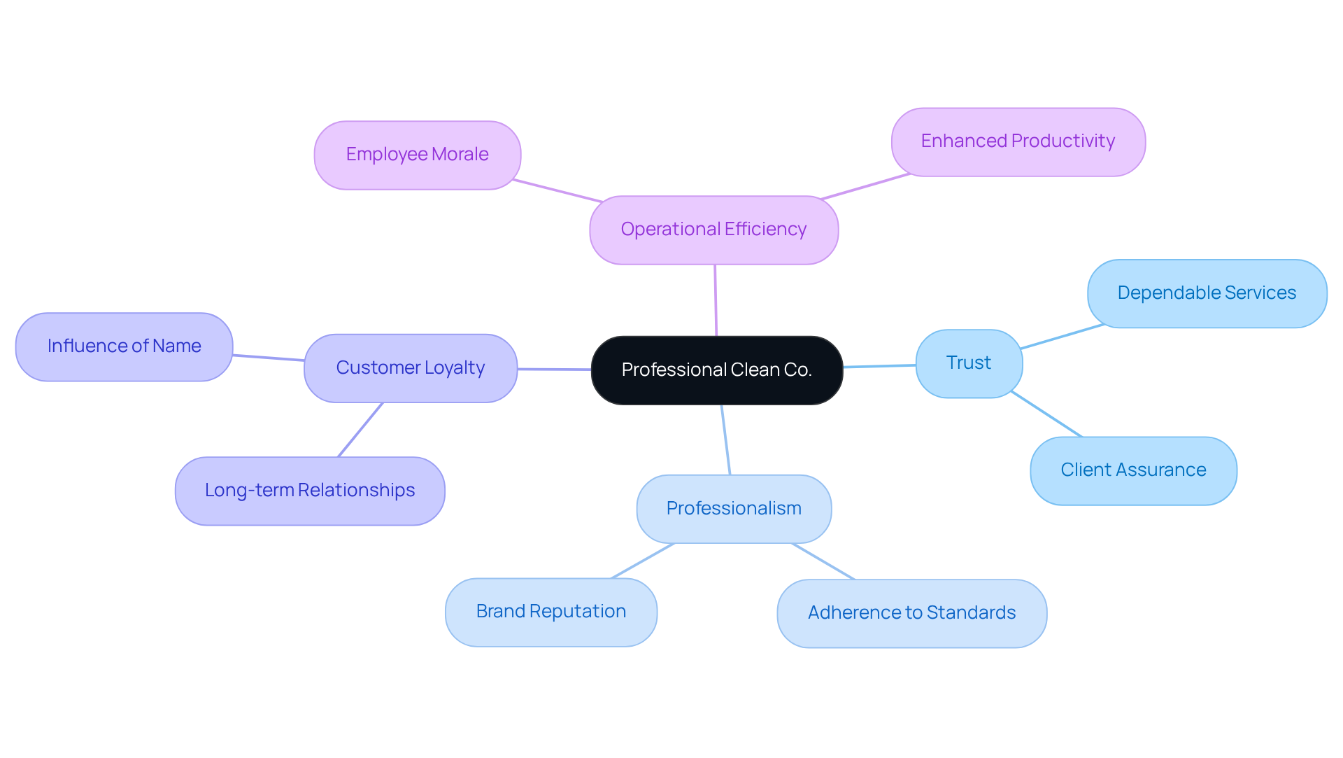 The center node represents the company name, and the branches illustrate key themes that relate to how a professional name builds trust and loyalty among clients.