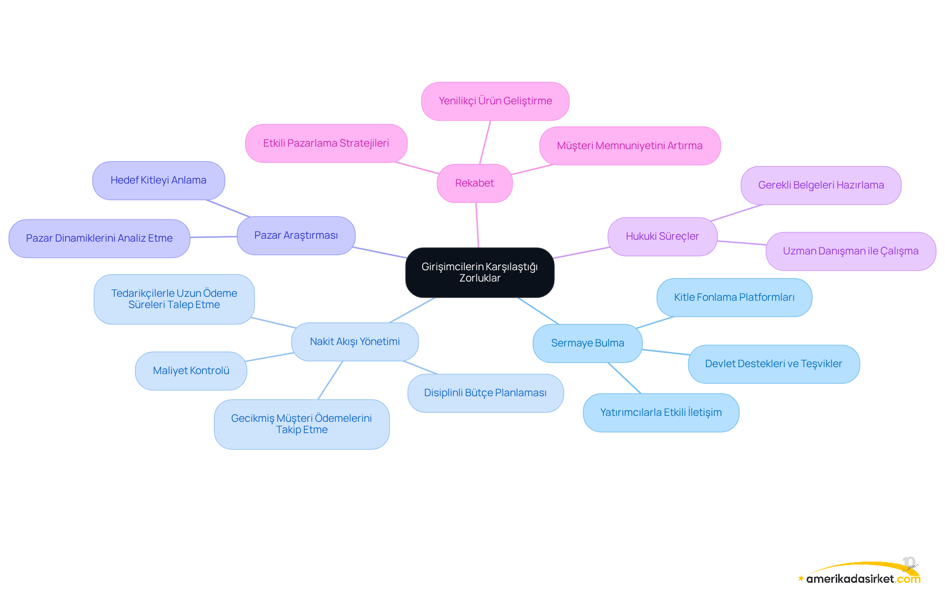 Merkezdeki başlık girişimcilerin karşılaştığı ana zorlukları temsil ediyor. Dallar, her zorluğun altında yer alan çözüm yollarını gösteriyor. Her dalın rengi, zorluğun türünü belirtmek için kullanılıyor.
