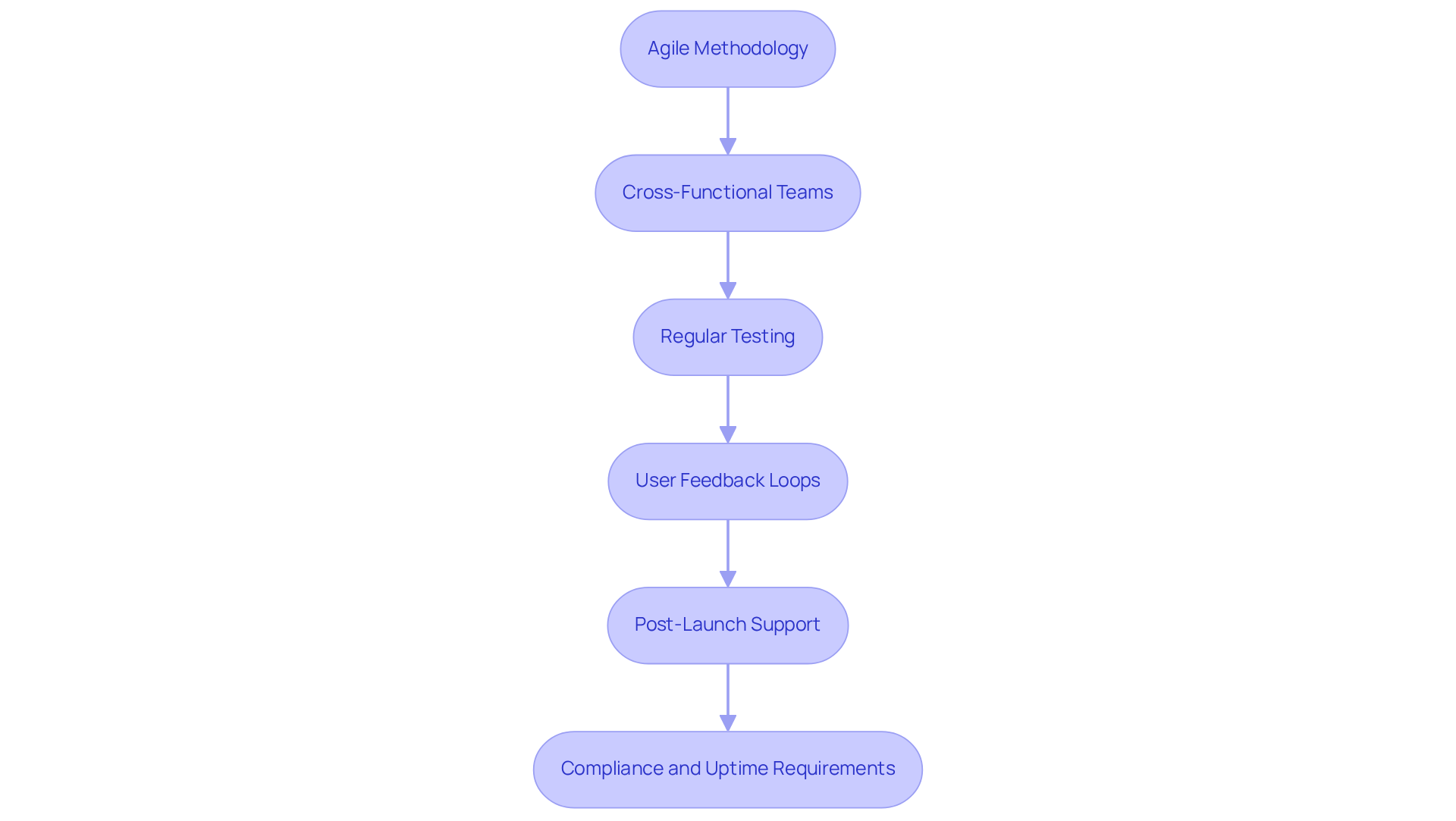 Each box represents a crucial step in the development process. Follow the arrows to see how each step builds on the previous one, guiding you through establishing a successful retail application development strategy.