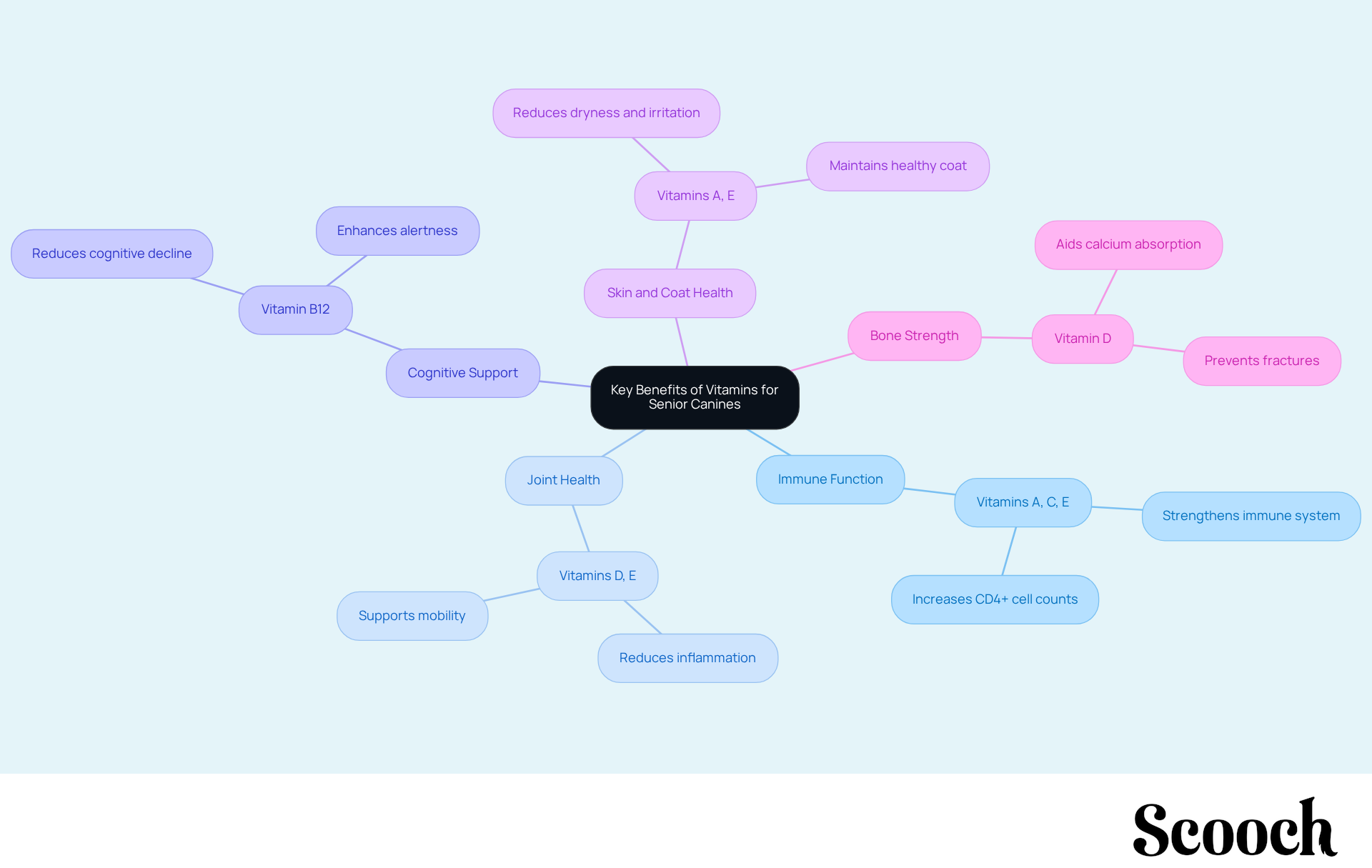 The central node represents the overall topic, while each branch shows a specific health benefit. The sub-branches detail which vitamins contribute to that benefit, making it easy to see how nutrition impacts your dog's health. The central node represents the overall topic, while each branch shows a specific health benefit. The sub-branches detail which vitamins contribute to that benefit, making it easy to see how nutrition impacts your dog's health.
