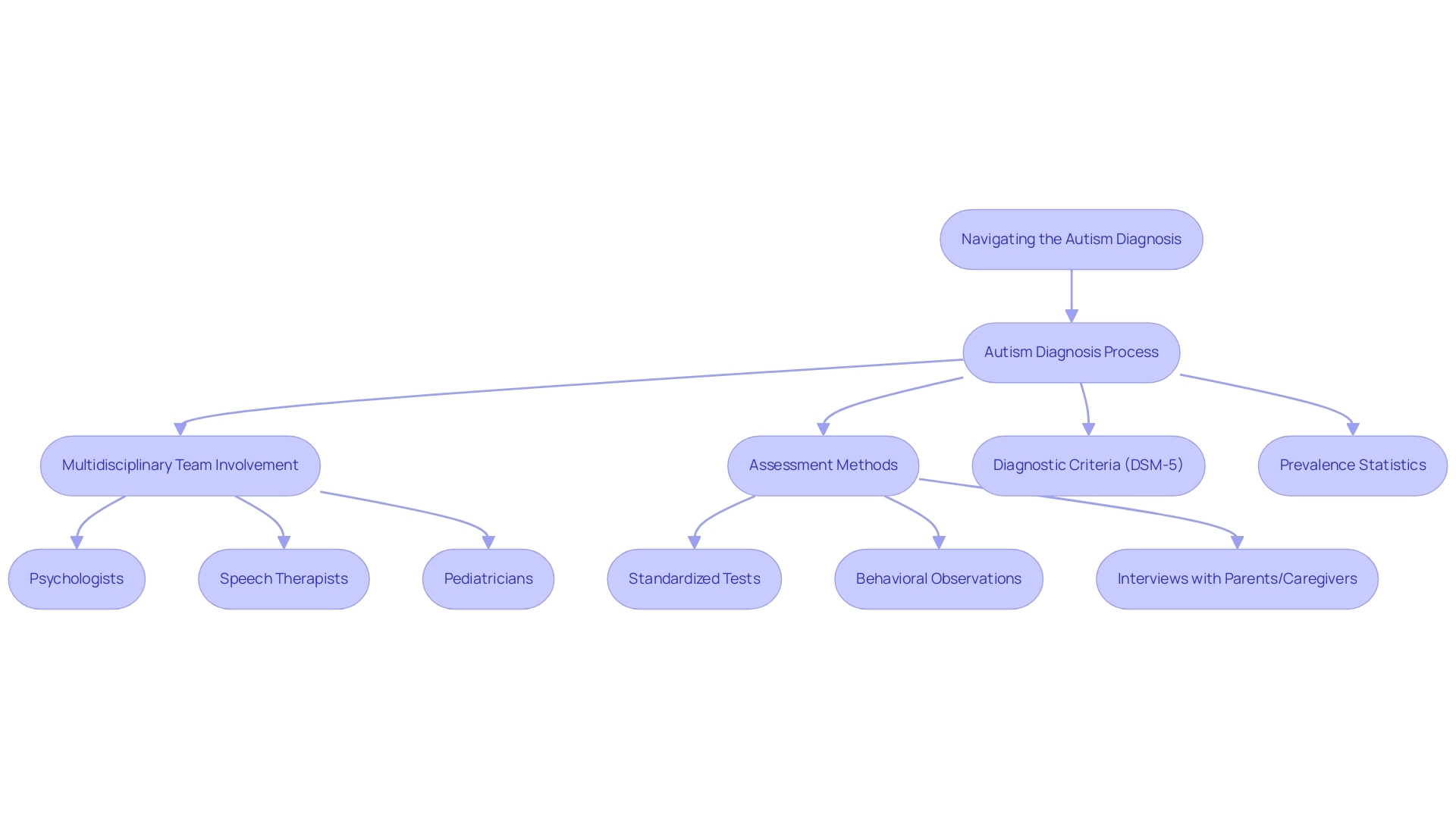 Each box represents a stage in the autism diagnosis process, with arrows indicating the sequential flow and connection between stages.