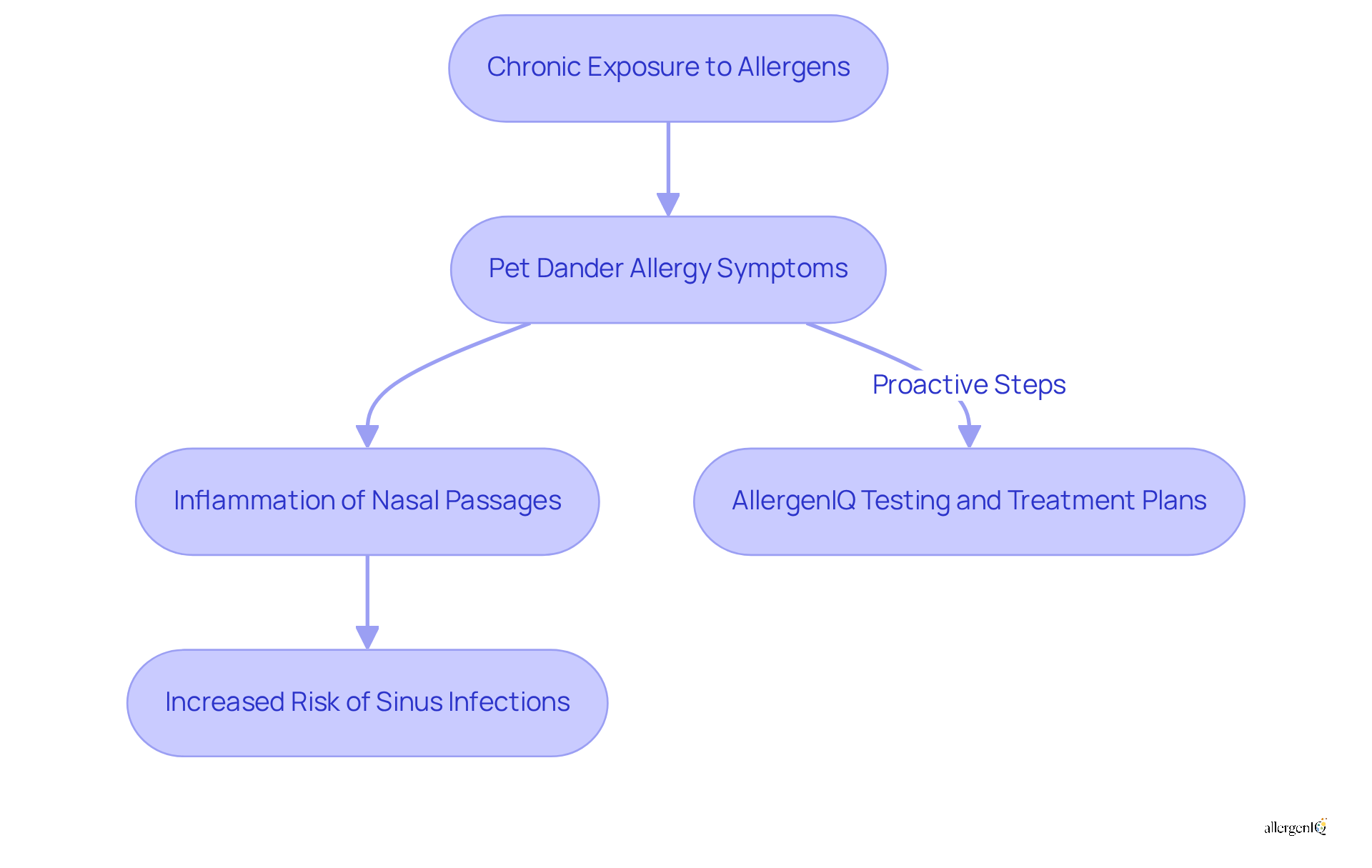 This flowchart shows how chronic exposure to allergens can lead to serious health issues and highlights the steps that can be taken to address these allergies effectively.
