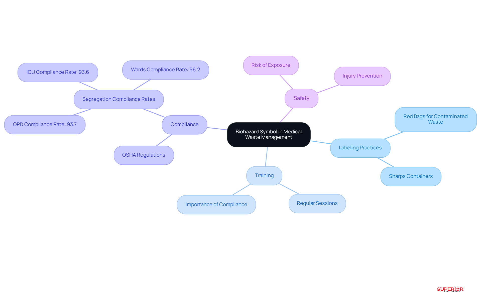 The center represents the main topic, while the branches show important areas related to managing medical waste safely. Each color-coded branch helps you see how different aspects connect to the central theme.