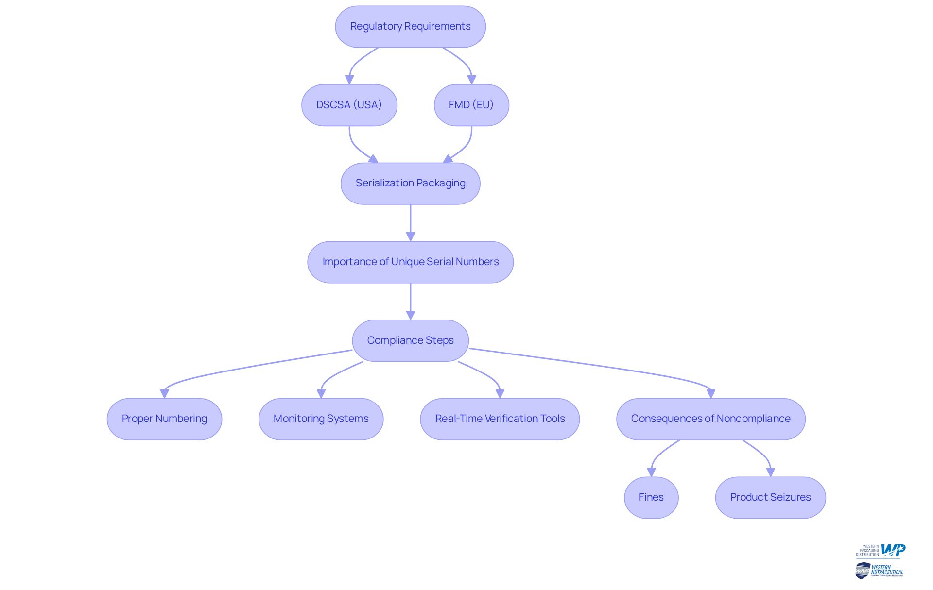 The flowchart guides you through the process of complying with drug serialization regulations — starting from understanding the laws to ensuring compliance and avoiding penalties. Follow the arrows to see the sequence of steps and their implications.
