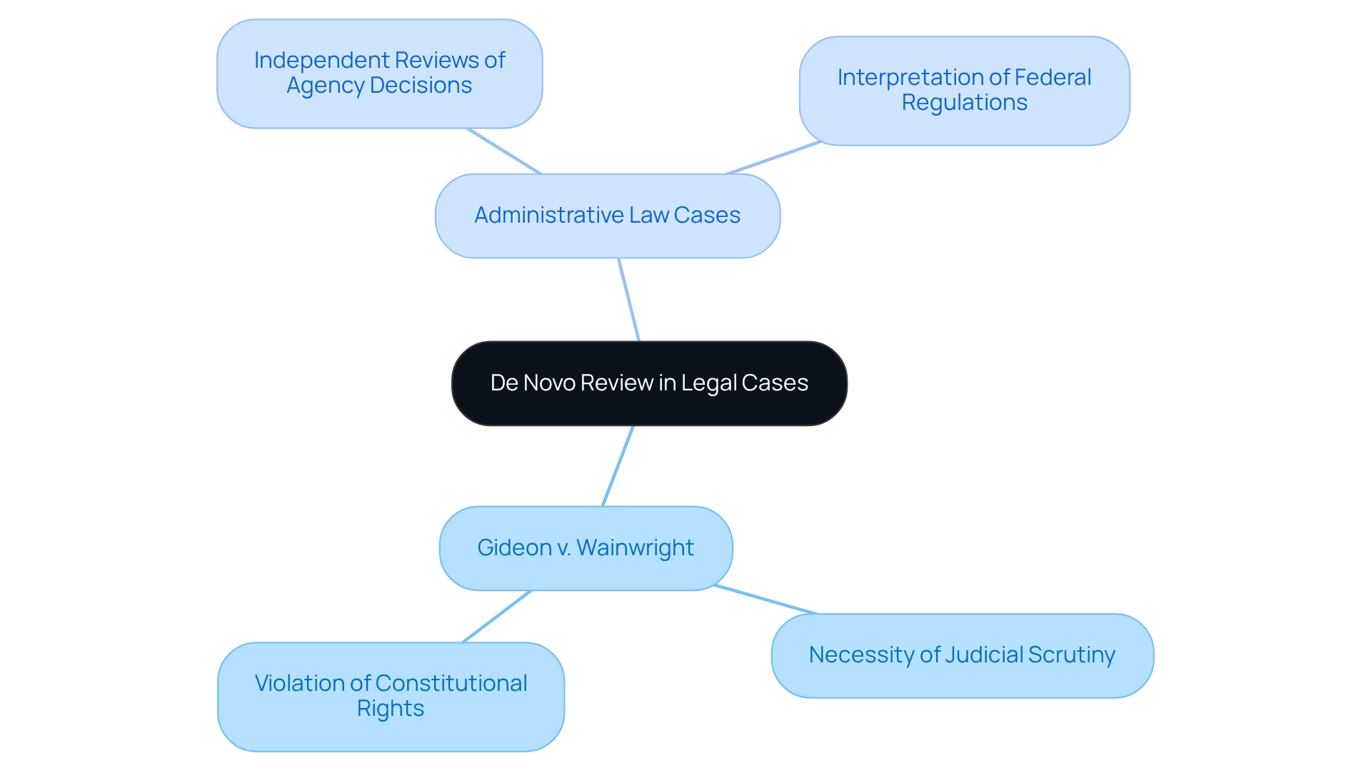 This mindmap illustrates how de novo review functions in different legal contexts. Start at the center with the main concept, then explore each branch to see specific cases and their significance in protecting legal rights.