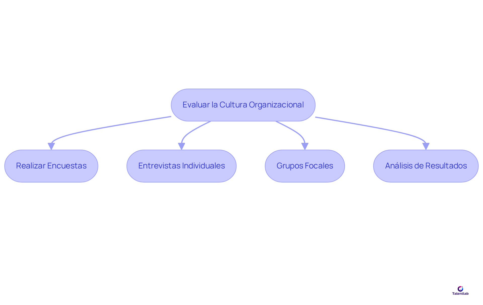 Cada paso en el diagrama representa una etapa en el proceso de evaluación. Sigue las flechas para entender cómo cada actividad se conecta y contribuye al diagnóstico general de la cultura organizacional.