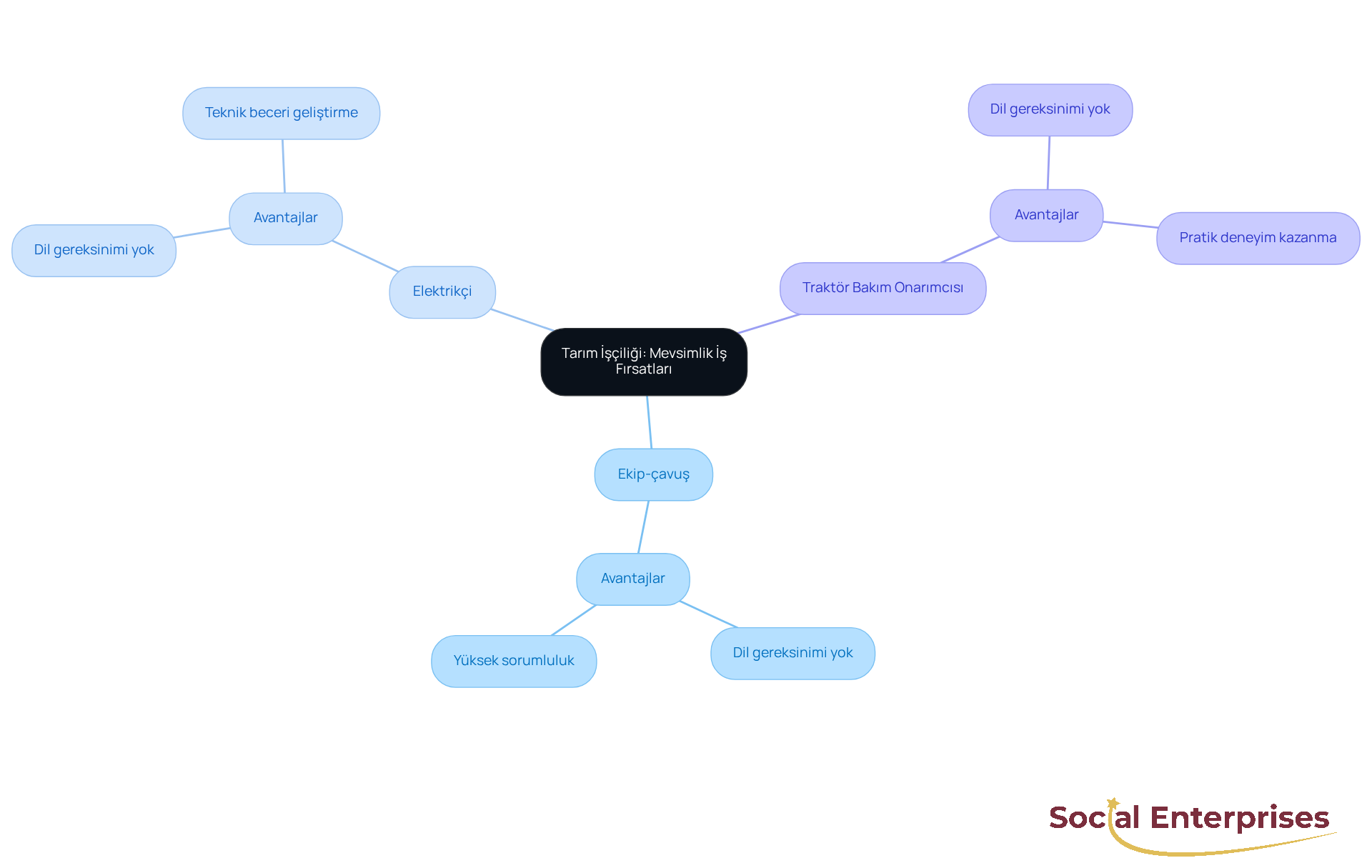 Bu harita, tarım işçiliği alanında mevcut mevsimlik iş fırsatlarını ve her bir pozisyonun avantajlarını gösterir. Merkezdeki ana konu ile başlayarak dallara ayrılan pozisyonları takip edebilirsiniz. Bu harita, tarım işçiliği alanında mevcut mevsimlik iş fırsatlarını ve her bir pozisyonun avantajlarını gösterir. Merkezdeki ana konu ile başlayarak dallara ayrılan pozisyonları takip edebilirsiniz.