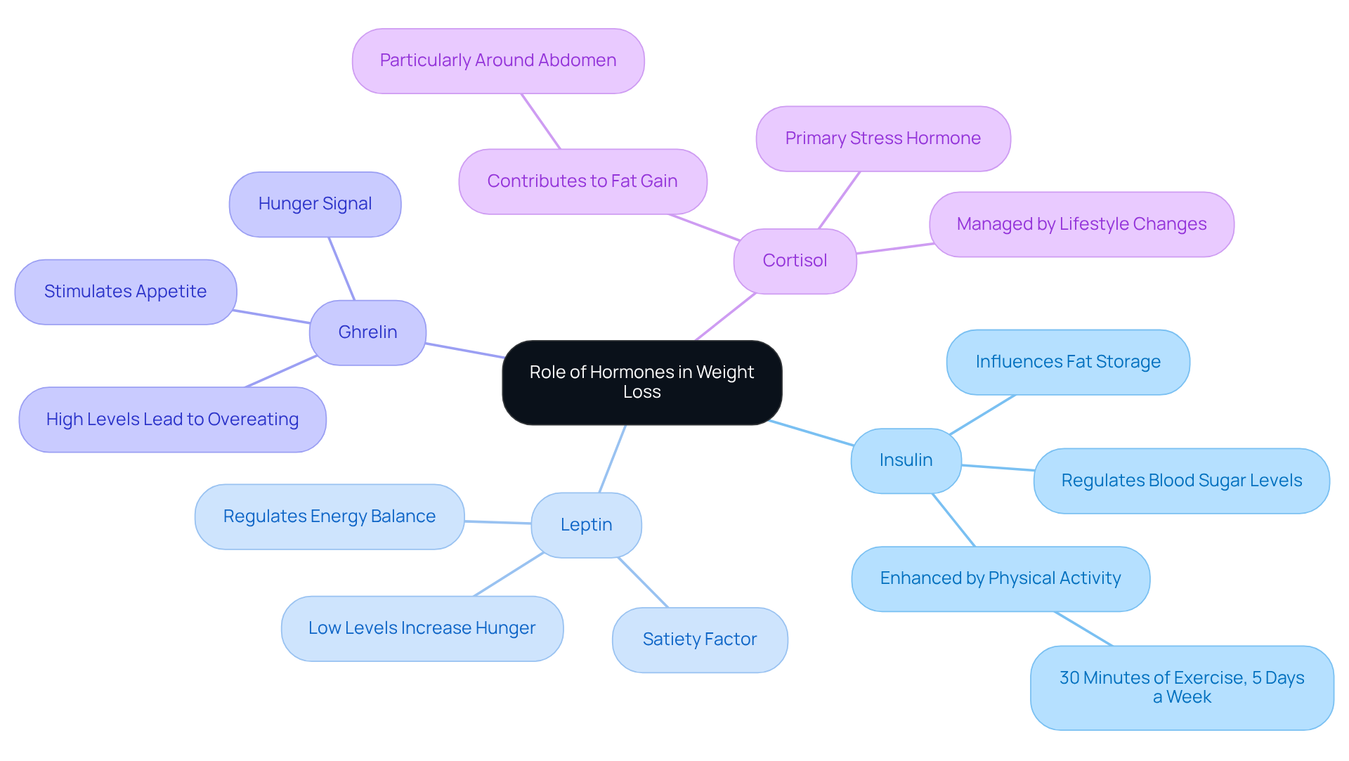 The central node represents the overall theme of hormones in weight loss. Each branch represents a specific hormone, and the sub-branches explain how they influence weight management. The colors help differentiate between the hormones for easier understanding.