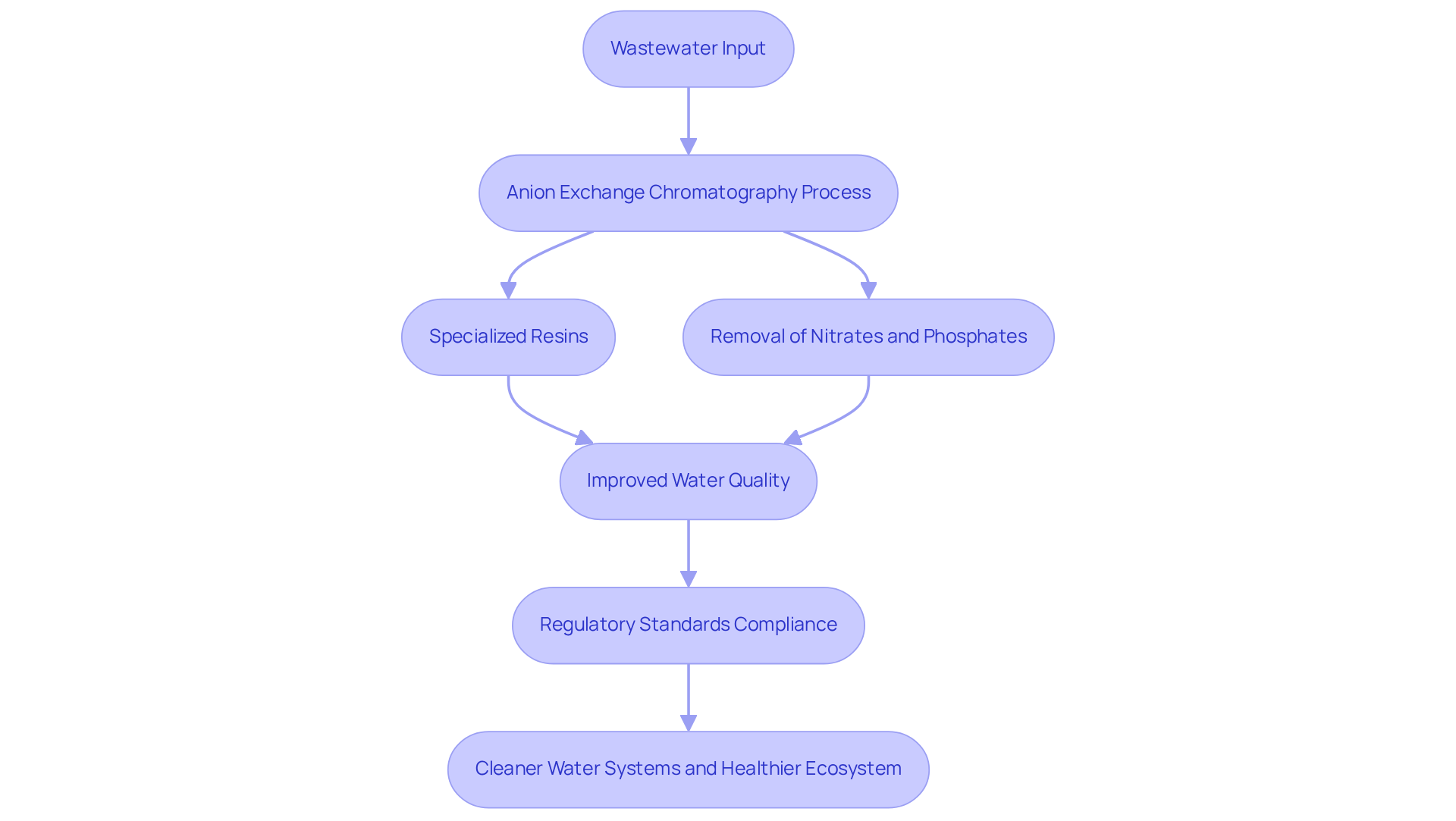 This flowchart illustrates how anion exchange chromatography works to clean wastewater. Each step shows how pollutants are removed and the positive outcomes for water quality and the environment.