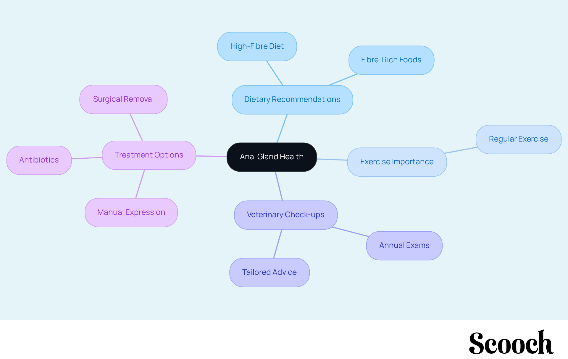The central node represents anal gland health, with branches showing key areas of focus. Each branch can be explored for more detailed actions and recommendations, helping you understand how to support your dog's health effectively. The central node represents anal gland health, with branches showing key areas of focus. Each branch can be explored for more detailed actions and recommendations, helping you understand how to support your dog's health effectively.