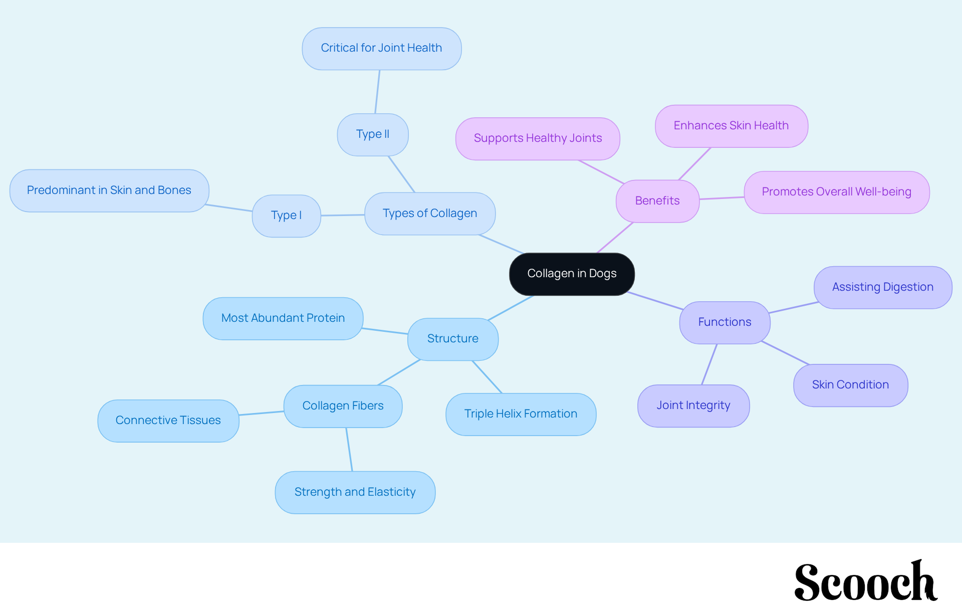 The central node represents collagen, while the branches illustrate different aspects such as its structure, types, key functions, and benefits for your dog's health. Follow the branches to see how everything connects!