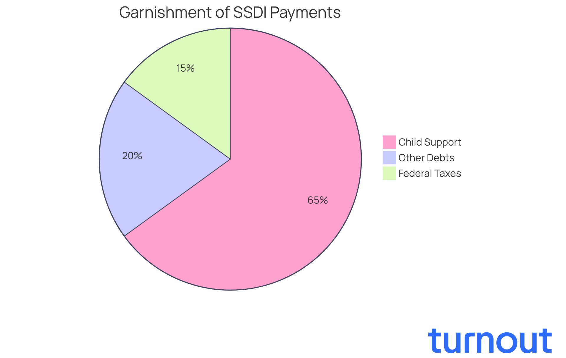 Each segment of the pie shows how much of your disability benefits could be garnished for different types of debts. The larger the segment, the more significant the impact on your payments.