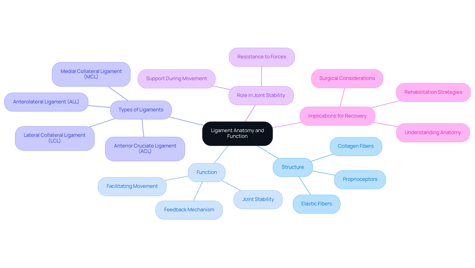 The central node represents the main topic of ligament anatomy. Each branch shows a different aspect of ligaments, and the sub-branches provide more detailed information. This layout helps you see how everything connects and understand the importance of ligaments in joint health. The central node represents the main topic of ligament anatomy. Each branch shows a different aspect of ligaments, and the sub-branches provide more detailed information. This layout helps you see how everything connects and understand the importance of ligaments in joint health.