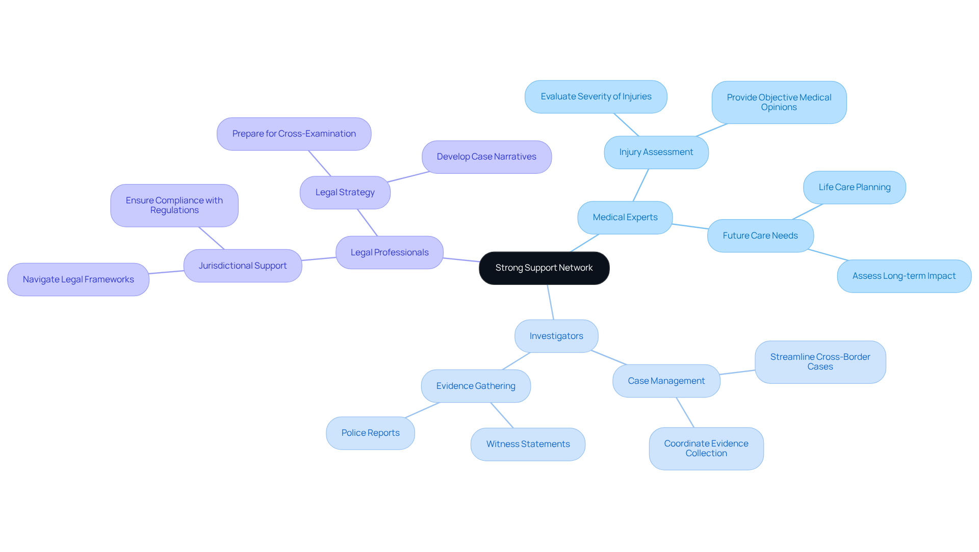 The center represents the core idea of a support network, with branches showing the key roles and their contributions to building a strong case. Each color-coded branch helps you understand how different professionals work together.