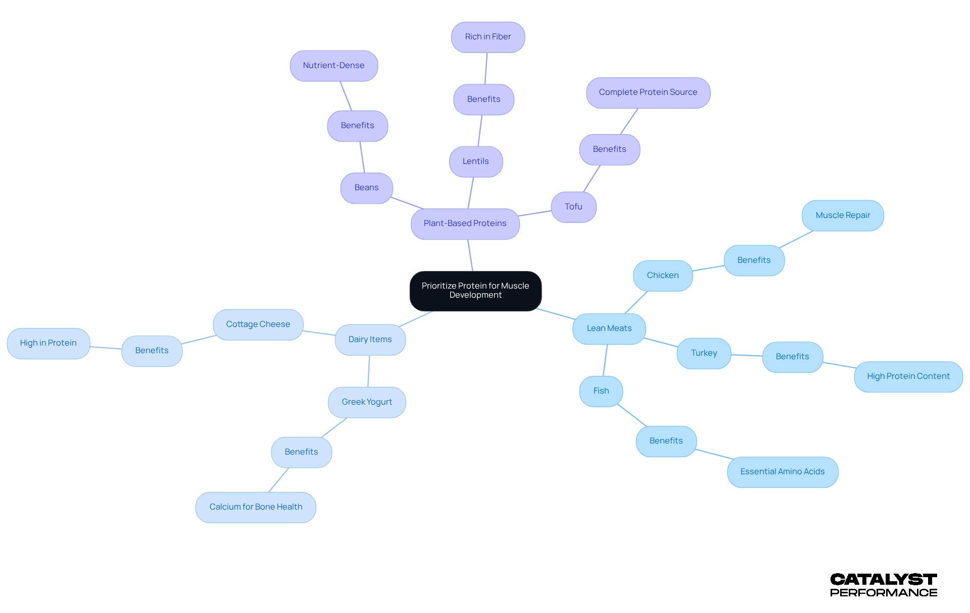 The central idea is about prioritizing protein for muscle health. Each branch represents a type of protein source, with further details on specific foods and their benefits. This helps you see how different proteins can support your health as you age.