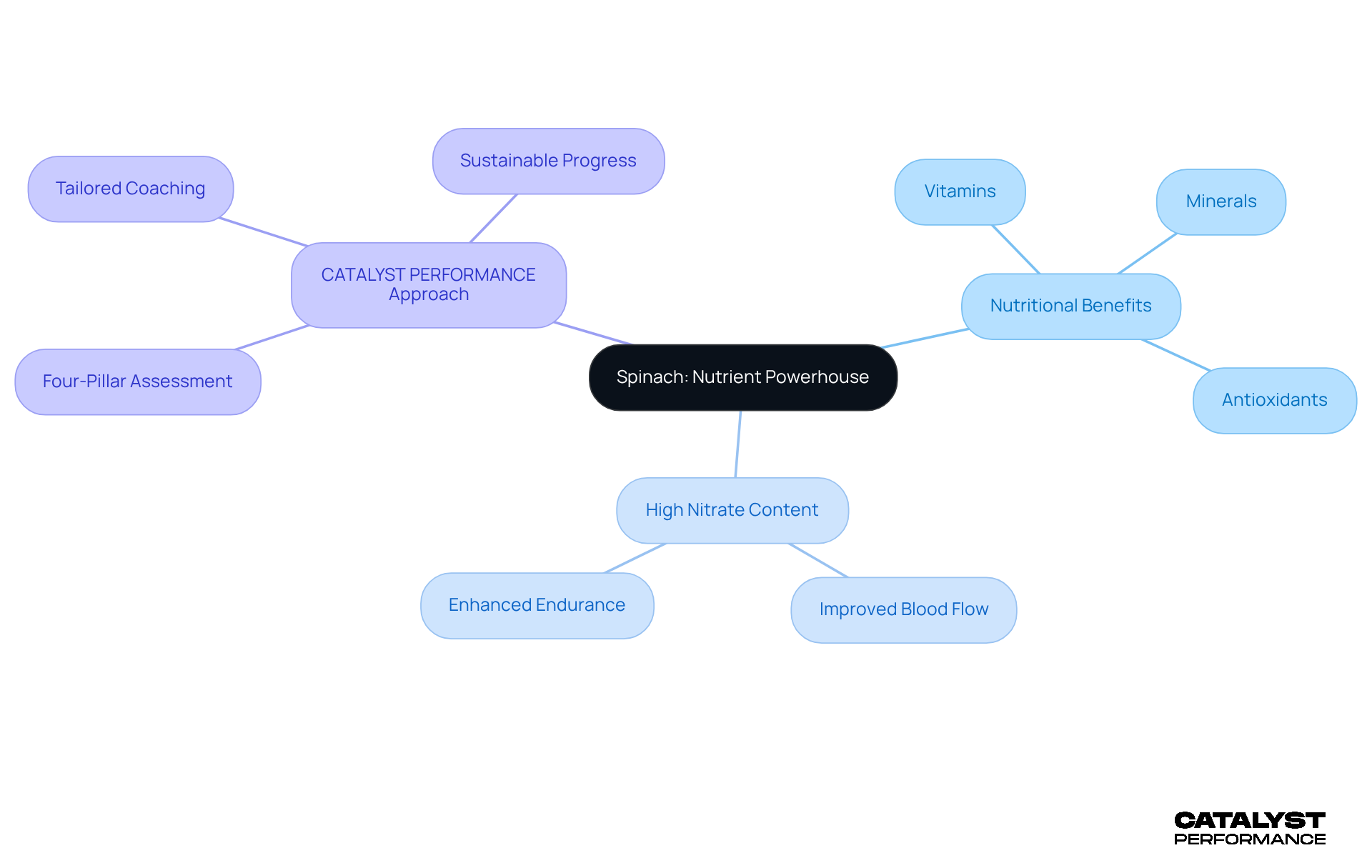 The central node represents spinach's role in health, with branches showing its benefits and how it fits into a comprehensive health strategy. Each color-coded branch helps you navigate through the information easily.