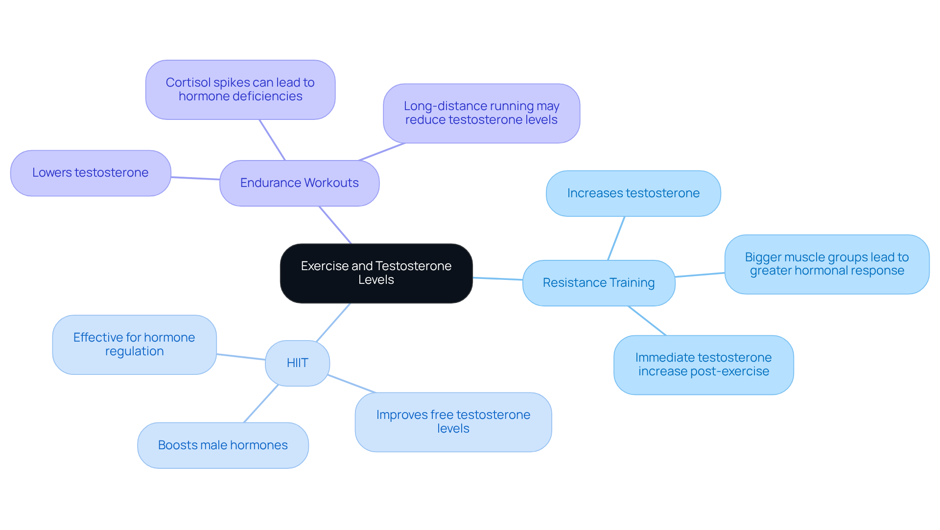 The central node represents the overall topic, while the branches show different types of exercise. Each sub-branch explains how that exercise affects testosterone levels, helping you understand which workouts to focus on for hormonal health.