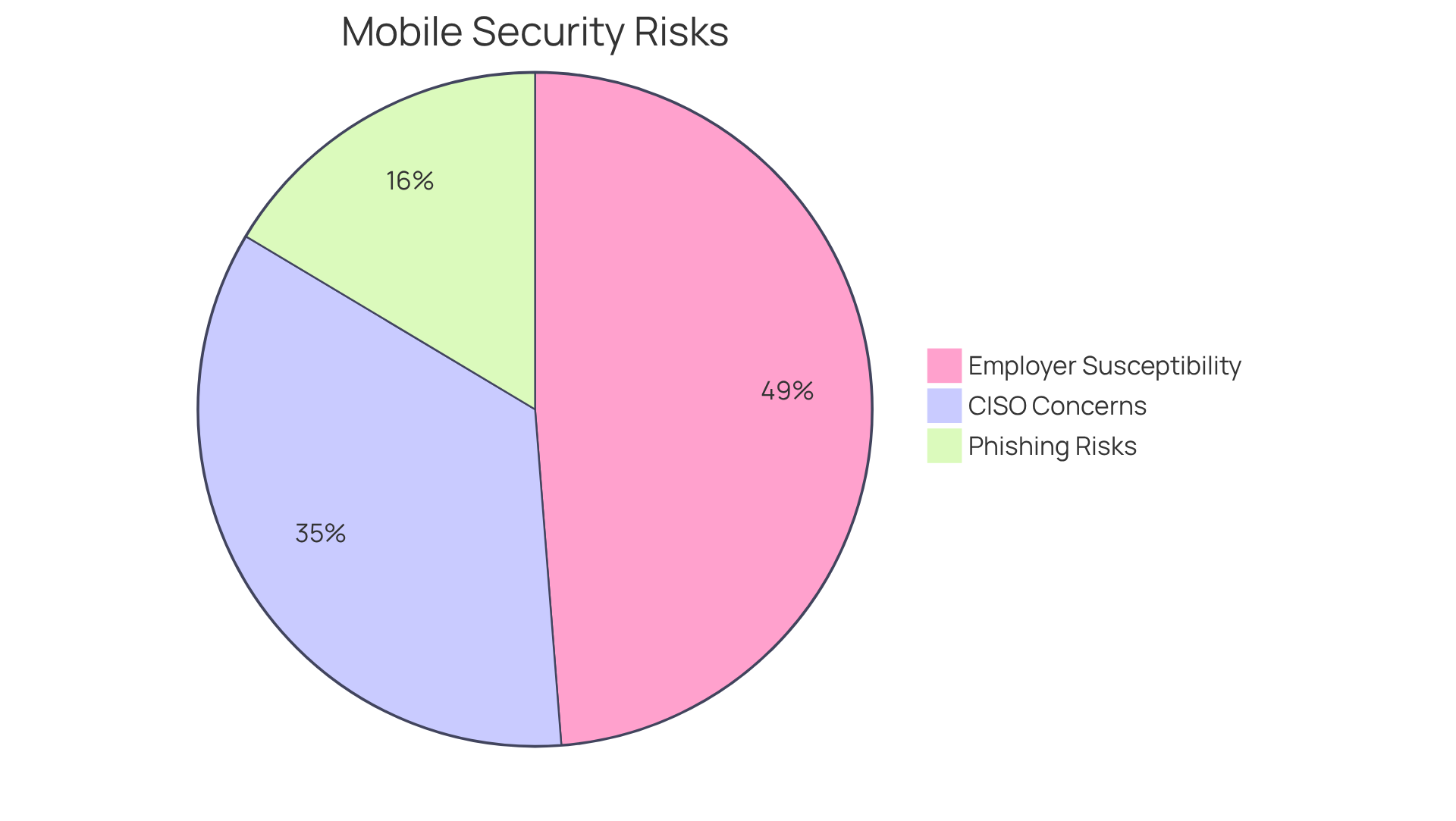 Each slice of the pie shows a different aspect of mobile security risks: the larger the slice, the more significant the concern. For example, the slice for phishing risks indicates that one-third of all risks are mobile-targeted.