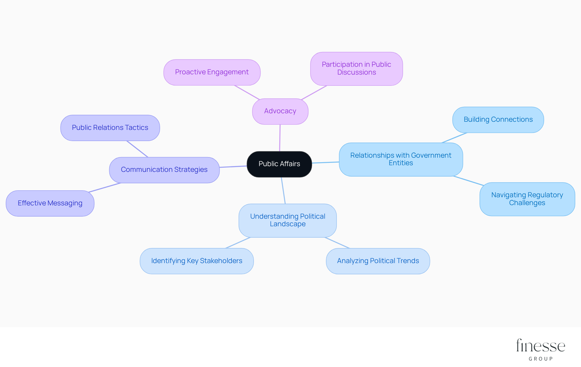 Start at the center with 'Public Affairs', then explore each branch to see how organizations can effectively engage with government and influence policy.