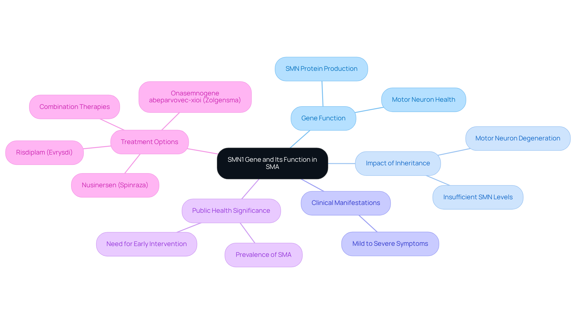 This mindmap starts with the SMN1 gene at the center. Each branch represents a different aspect of the gene's function and its implications for spinal muscular atrophy. Follow the branches to explore how the gene affects motor neuron health, the consequences of its inheritance, and the available treatments.