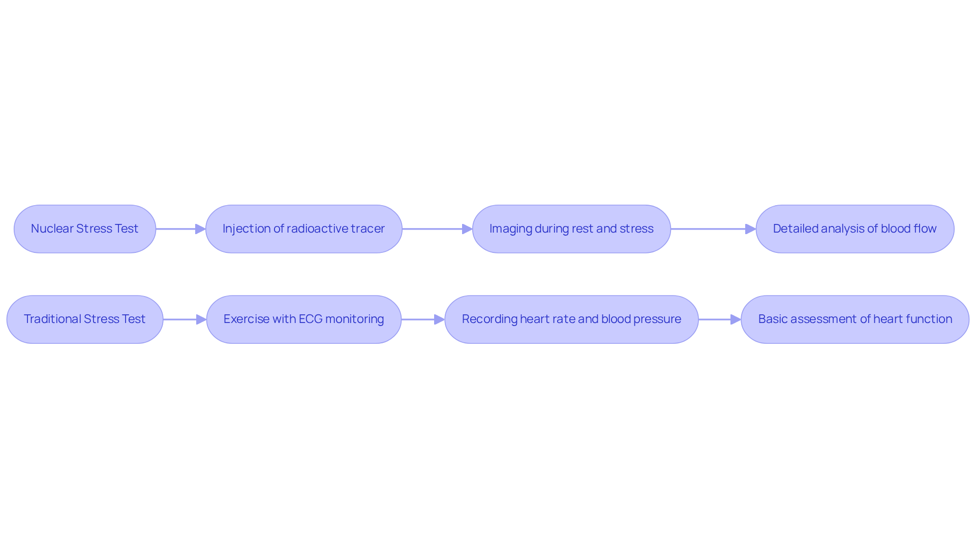Follow the branches to see how each type of stress test works. The Nuclear Stress Test branch shows the advanced imaging process, while the Traditional Stress Test branch outlines the exercise-based evaluation. Each step highlights key actions and outcomes.