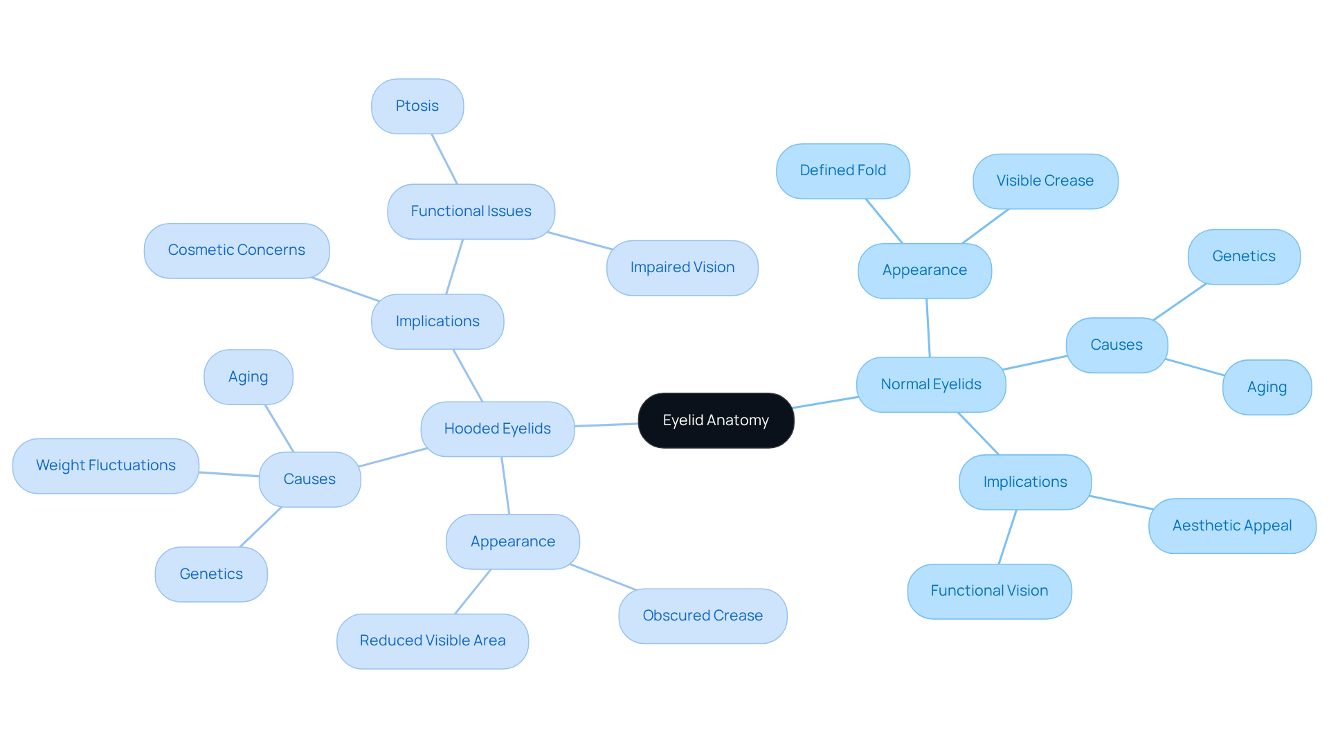 The central node represents eyelid anatomy, with branches showing the differences between normal and hooded eyelids. Each sub-branch provides details on appearance, causes, and implications, helping you grasp the full picture.