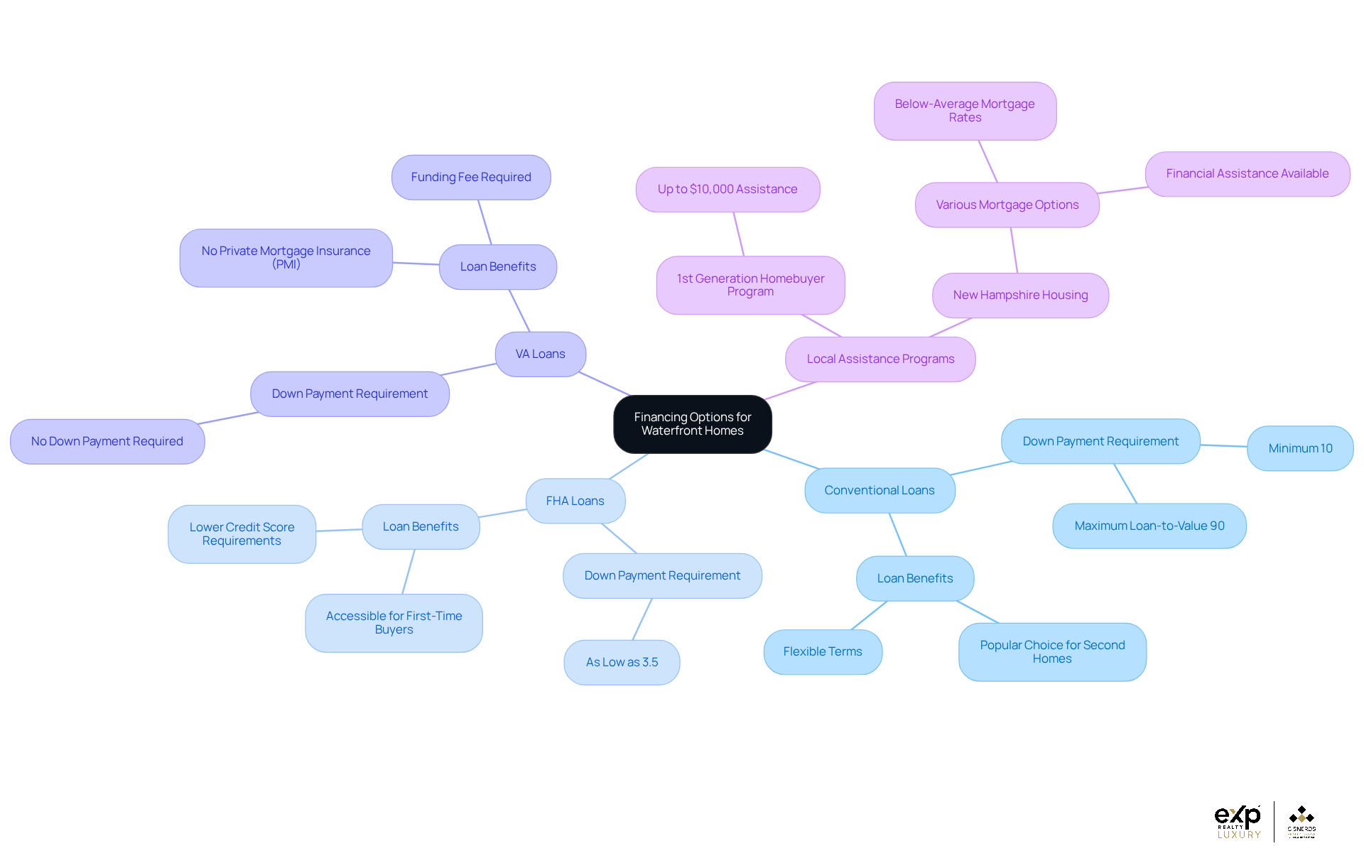 The central node represents the main topic of financing options. Each branch shows a different loan type or assistance program, with details that help you understand what each option offers.