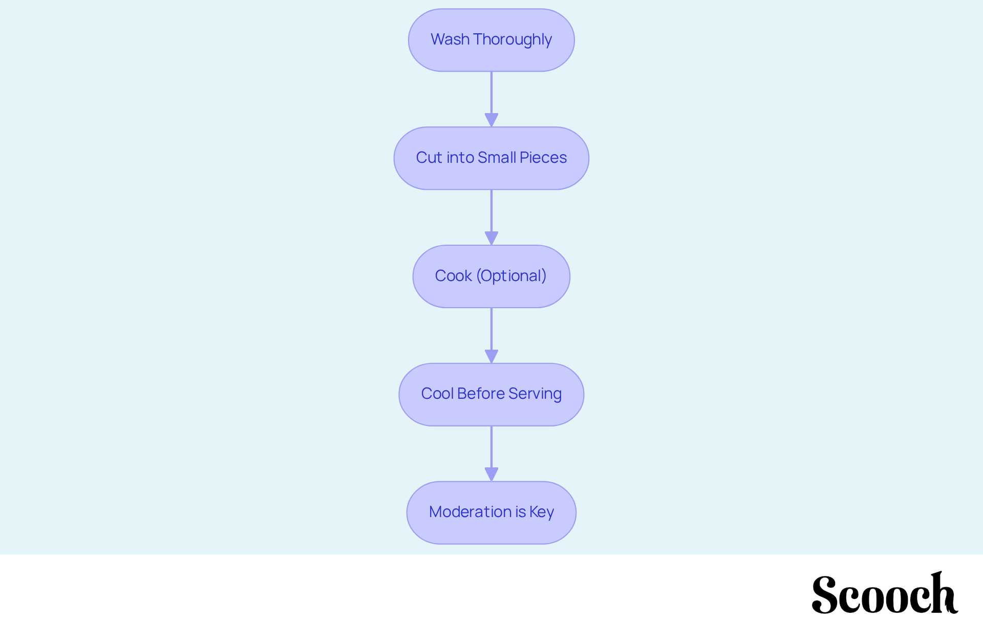 Can Dogs Eat Raw Cauliflower? A Step-by-Step Guide for Owners
