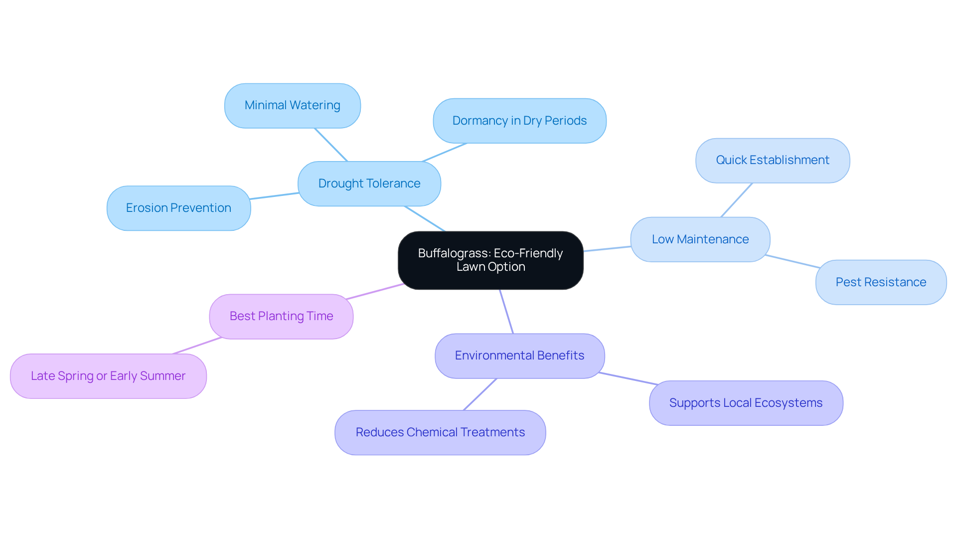 This mindmap shows how Buffalograss can be a great choice for your lawn. Each branch represents a different benefit or characteristic, helping you see how they all connect to the main idea of being eco-friendly and sustainable.