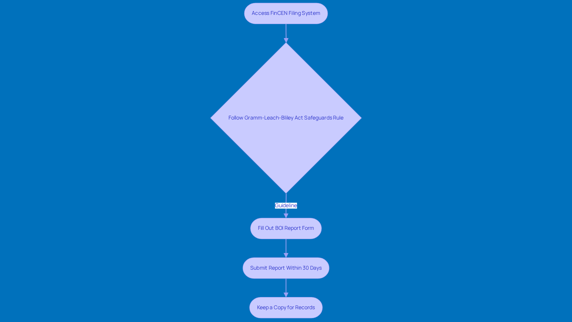 Each box shows a step in the filing process. Follow the arrows to understand what you need to do next, from starting the filing to ensuring you have your report documented.