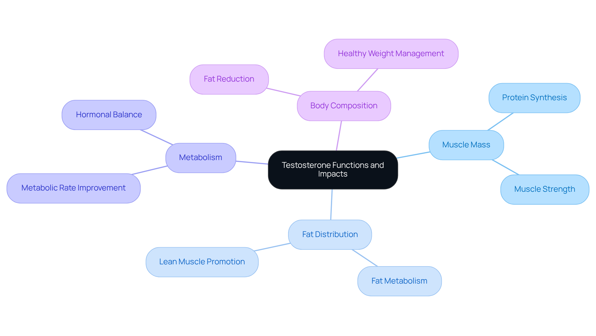 The central node represents testosterone, while the branches show its various roles in our bodies. Each sub-branch provides more detail on how testosterone affects muscle, fat, and metabolism, helping you see the bigger picture of its importance in health.